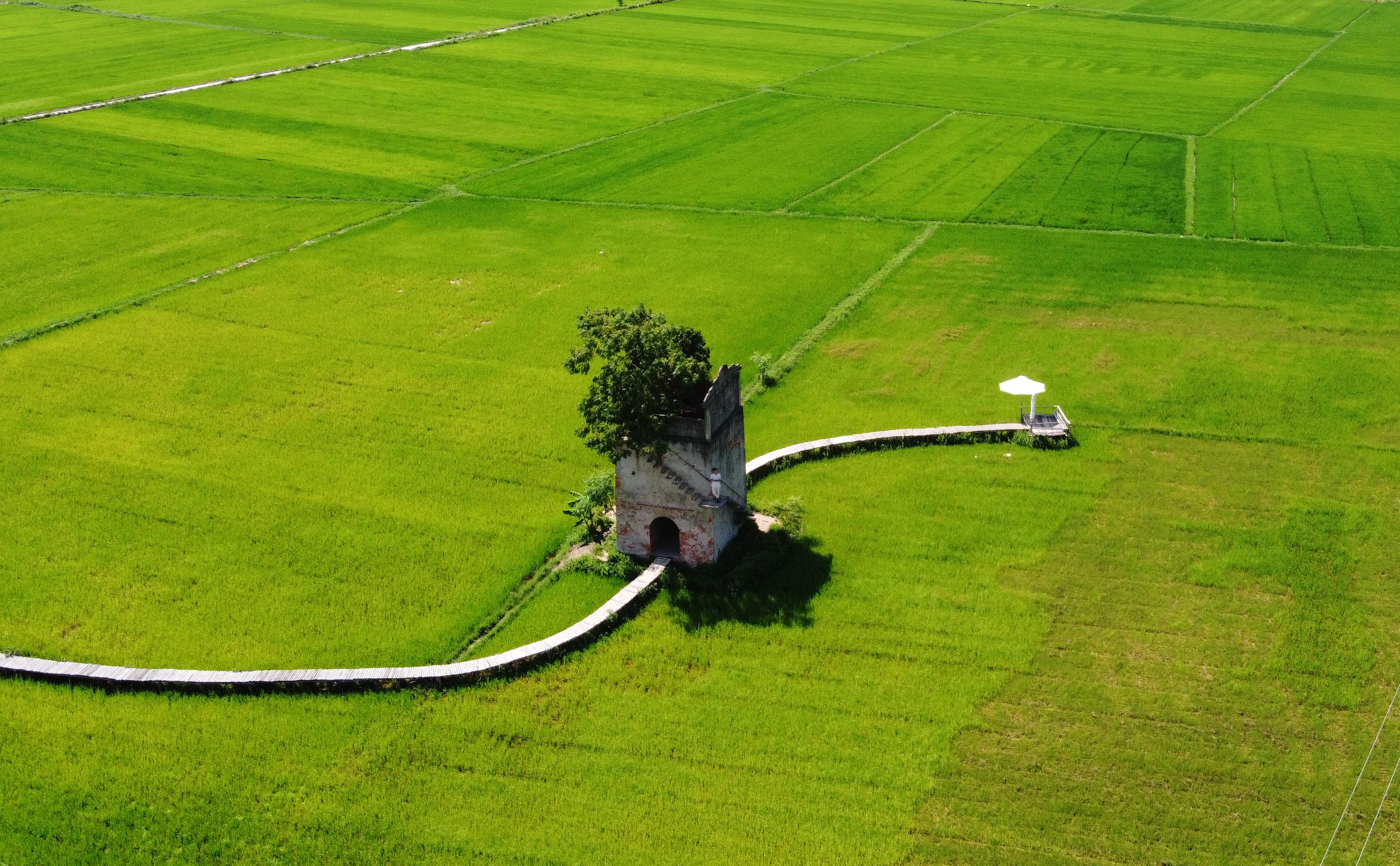 Ancient Israel Agriculture Photos, Download The BEST Free Ancient ...