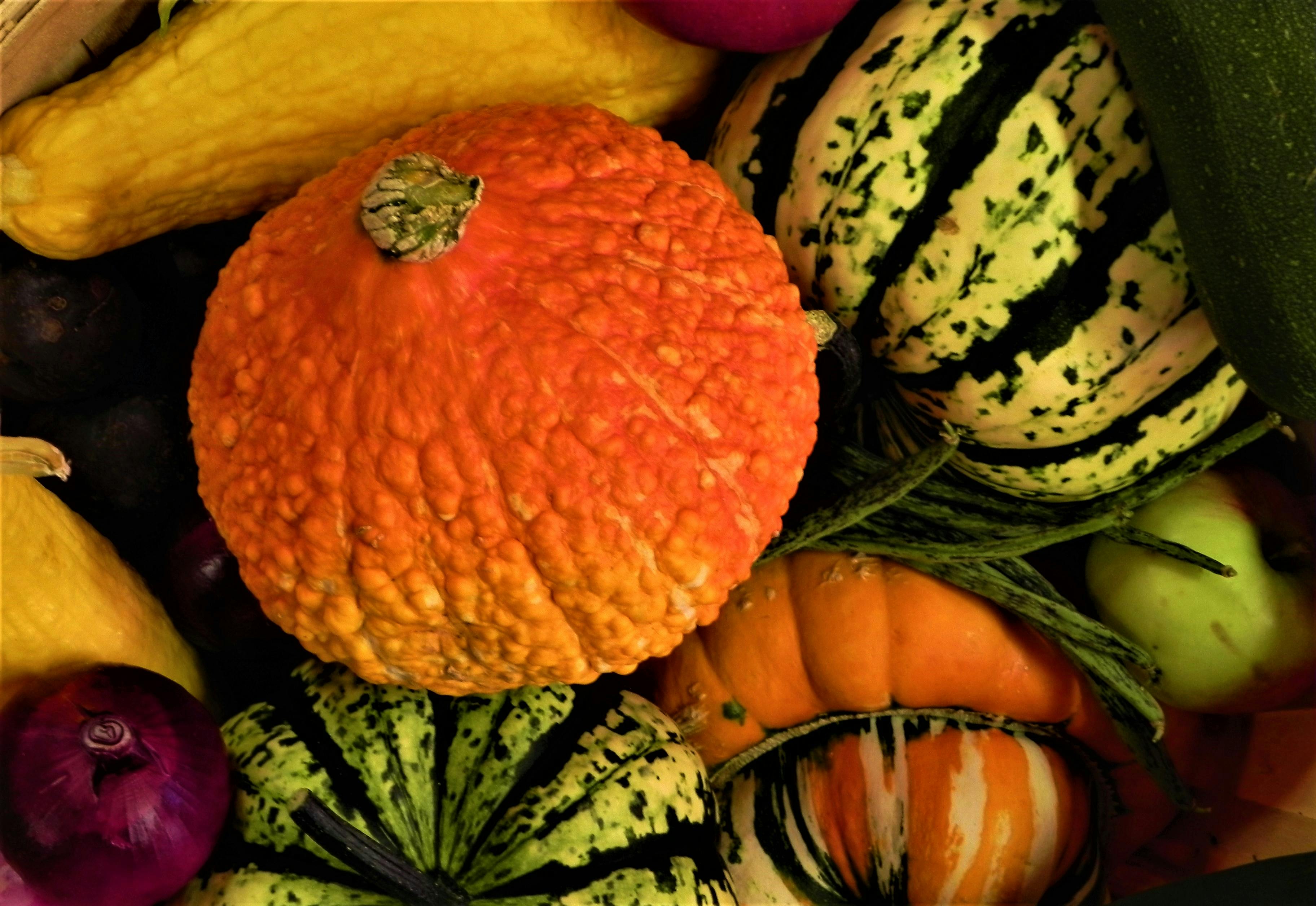 AUTUMN 129 Photos & Videos Collected by Lady Violet Adventures