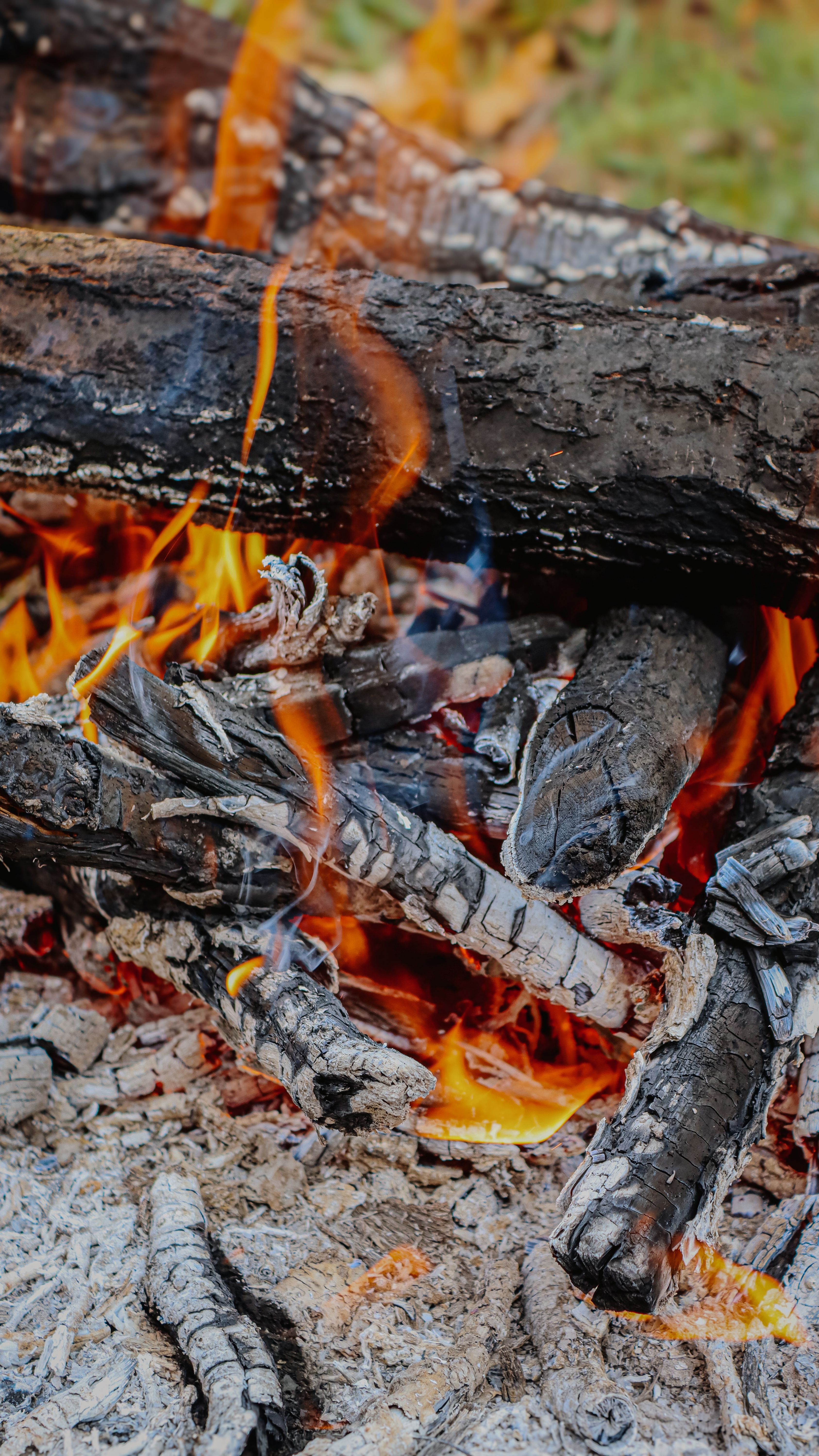Crackling Bonfire with Glowing Embers and Ash · Free Stock Photo