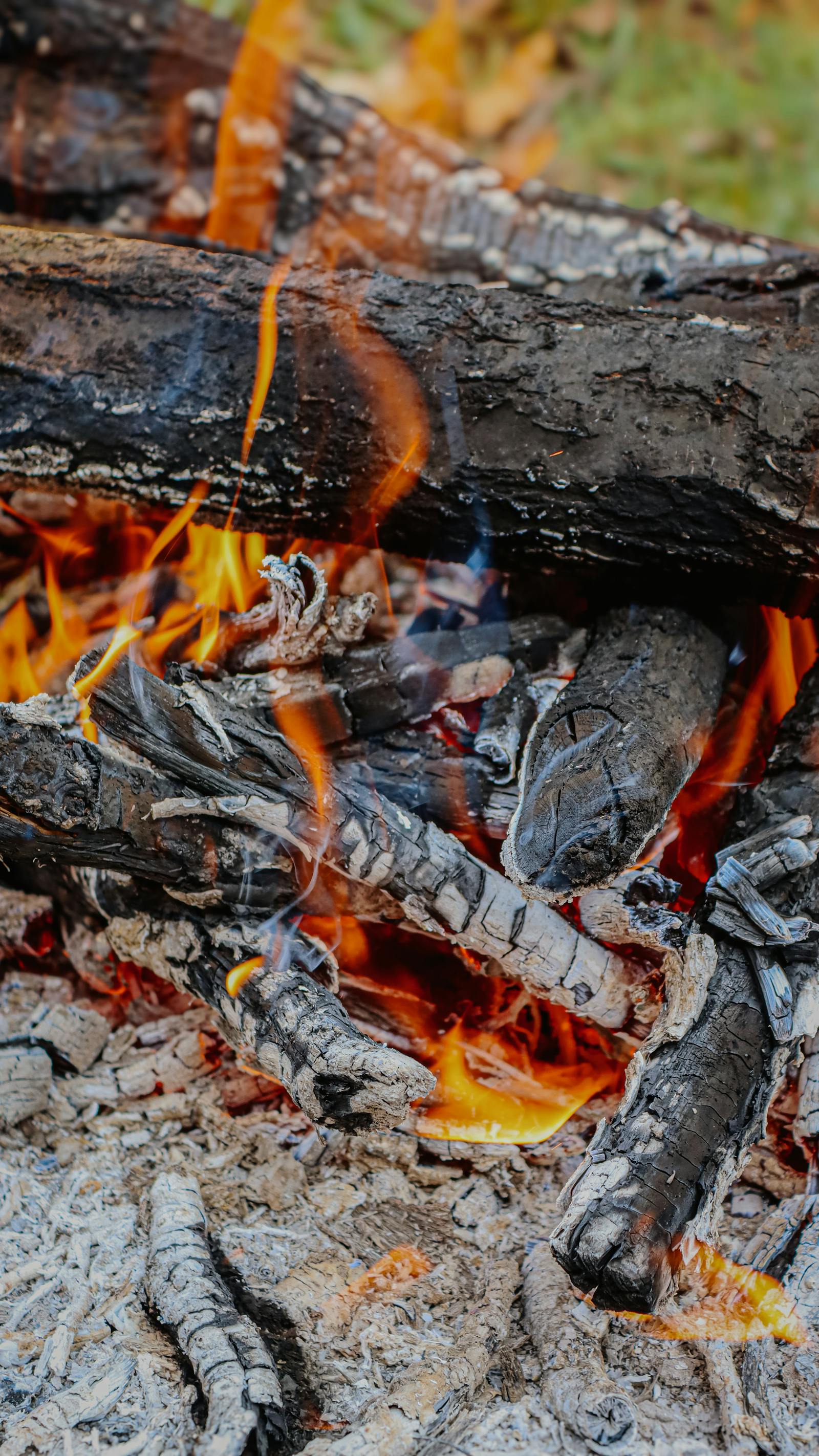 Fire Safety Photos, Download The BEST Free Fire Safety Stock Photos ...