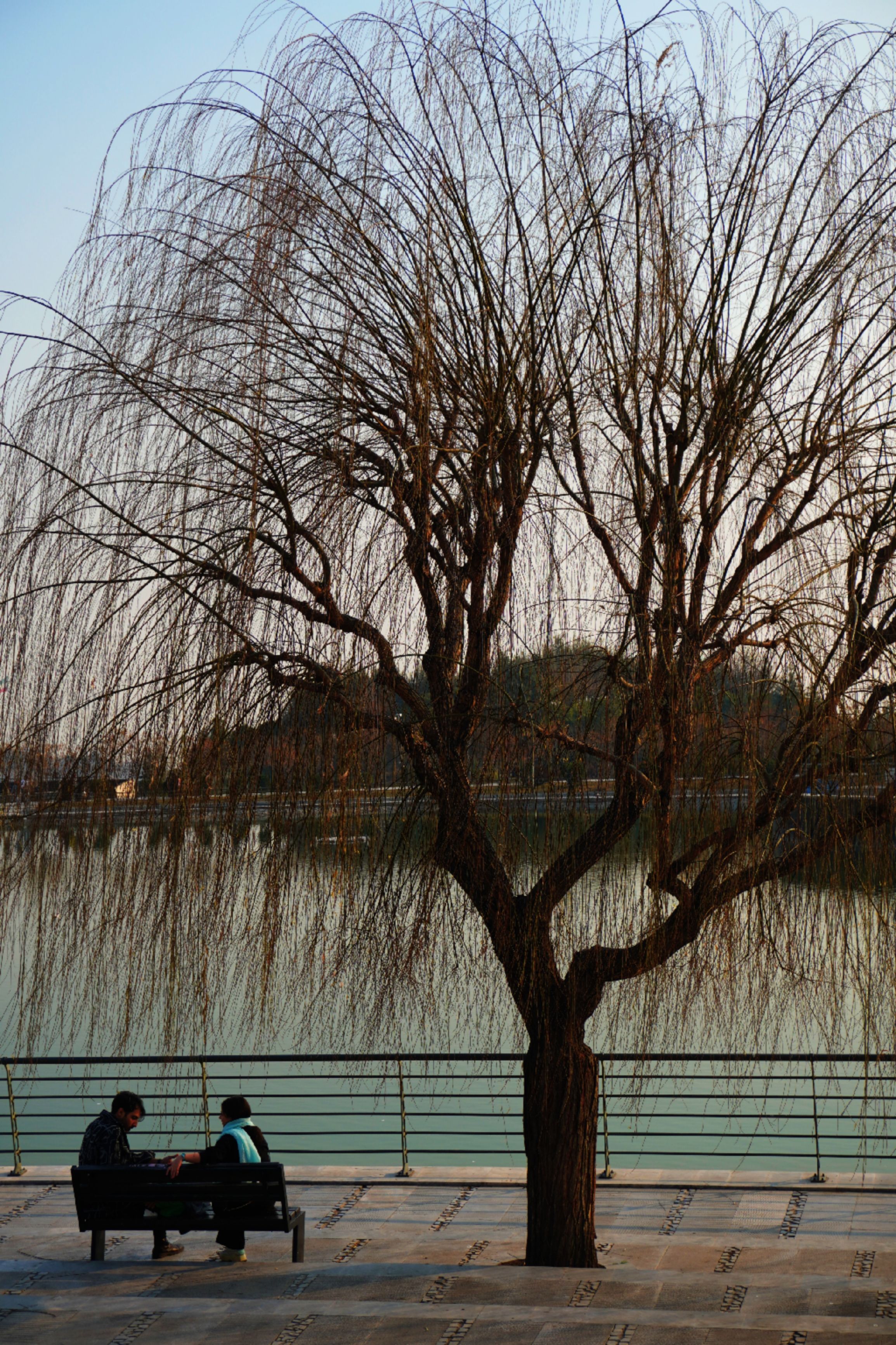 Tranquil Riverside Scene in Tehran, Iran · Free Stock Photo