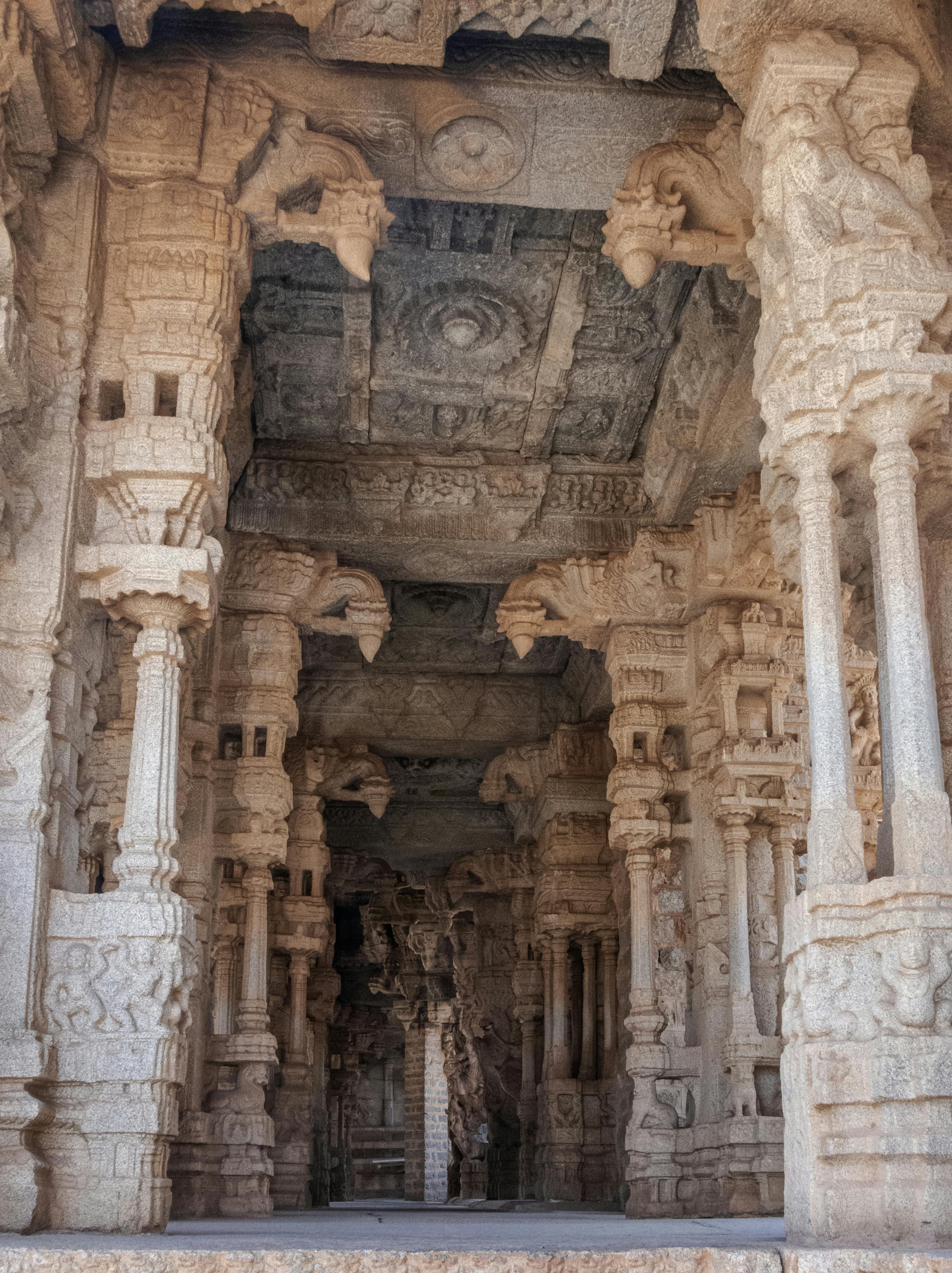 Teen+Pies+ +Chloe+Temple Photos, Download The BEST Free Teen+Pies+ ...