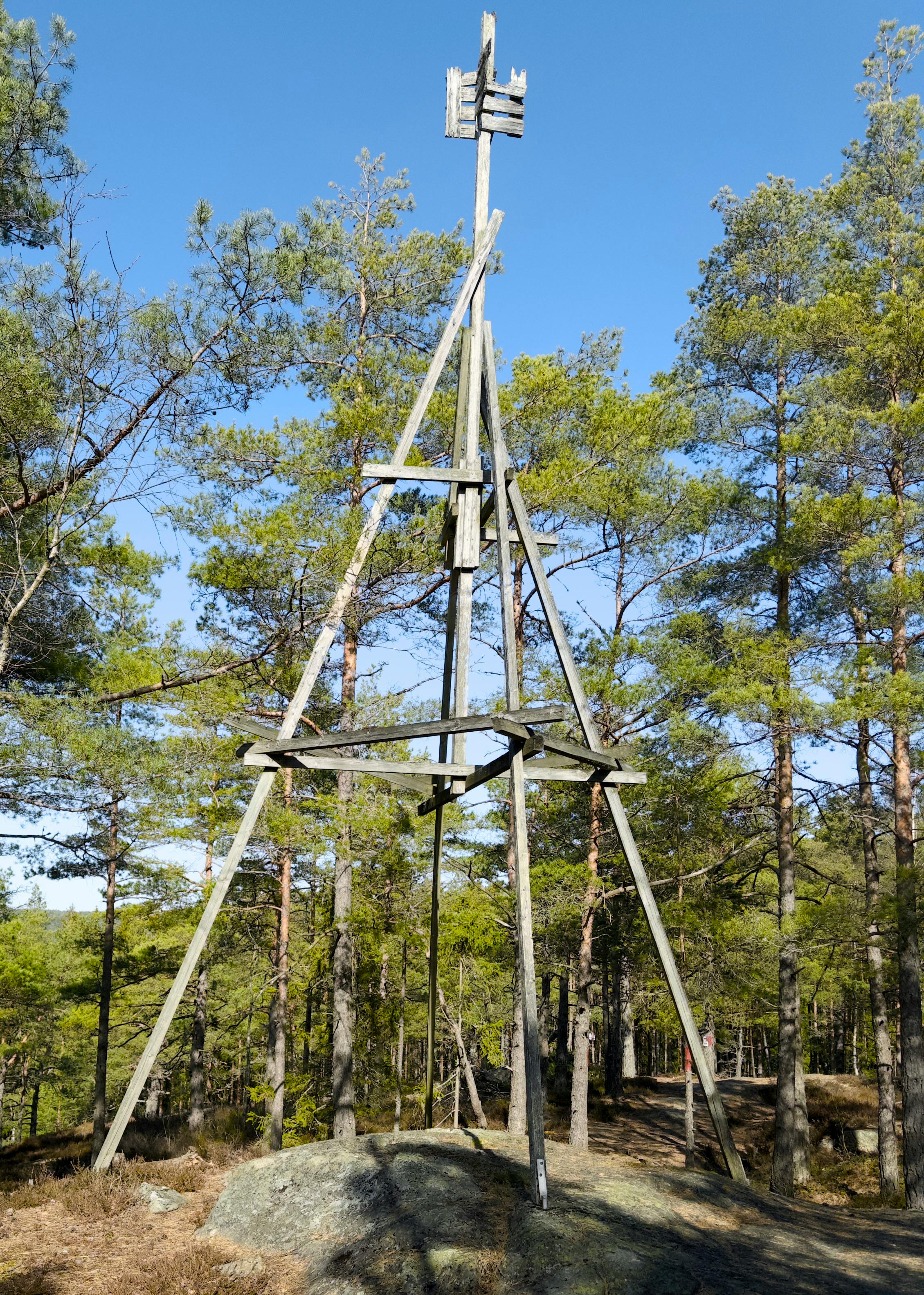 Wooden Triangulation Tower in Pine Forest · Free Stock Photo