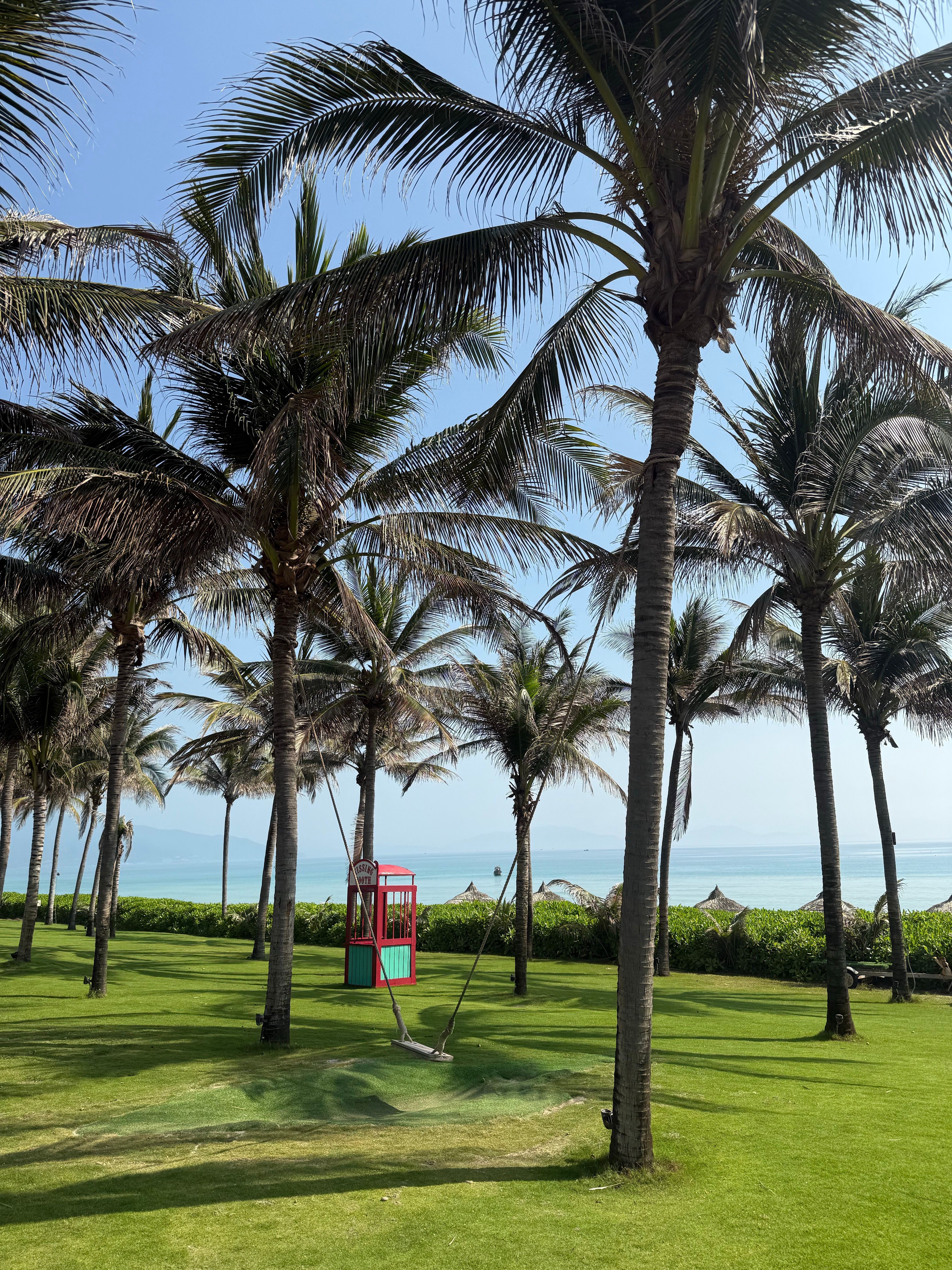 Tropical Beachfront with Palm Trees and Ocean View · Free Stock Photo