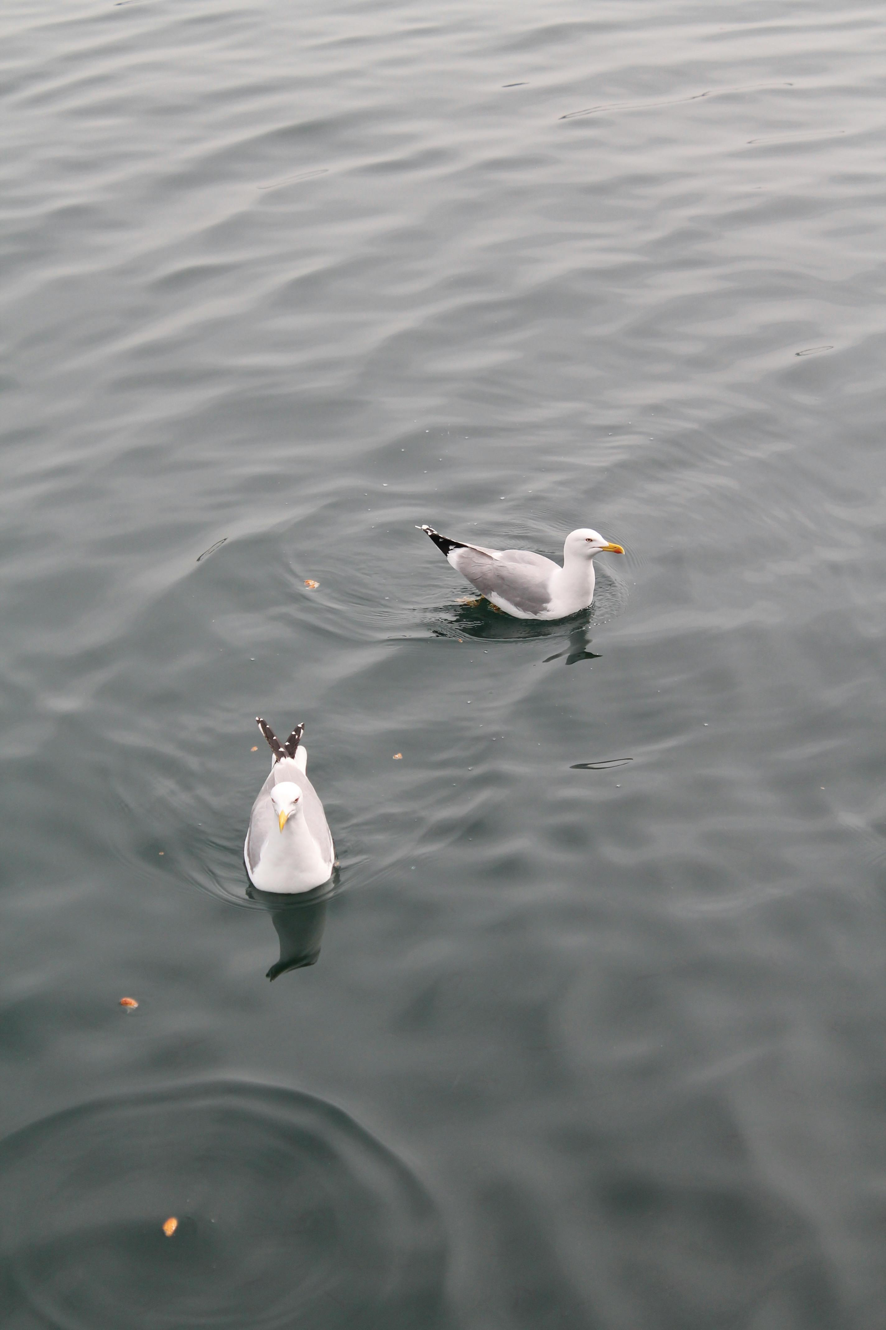 Floating Output Photos, Download The BEST Free Floating Output Stock ...