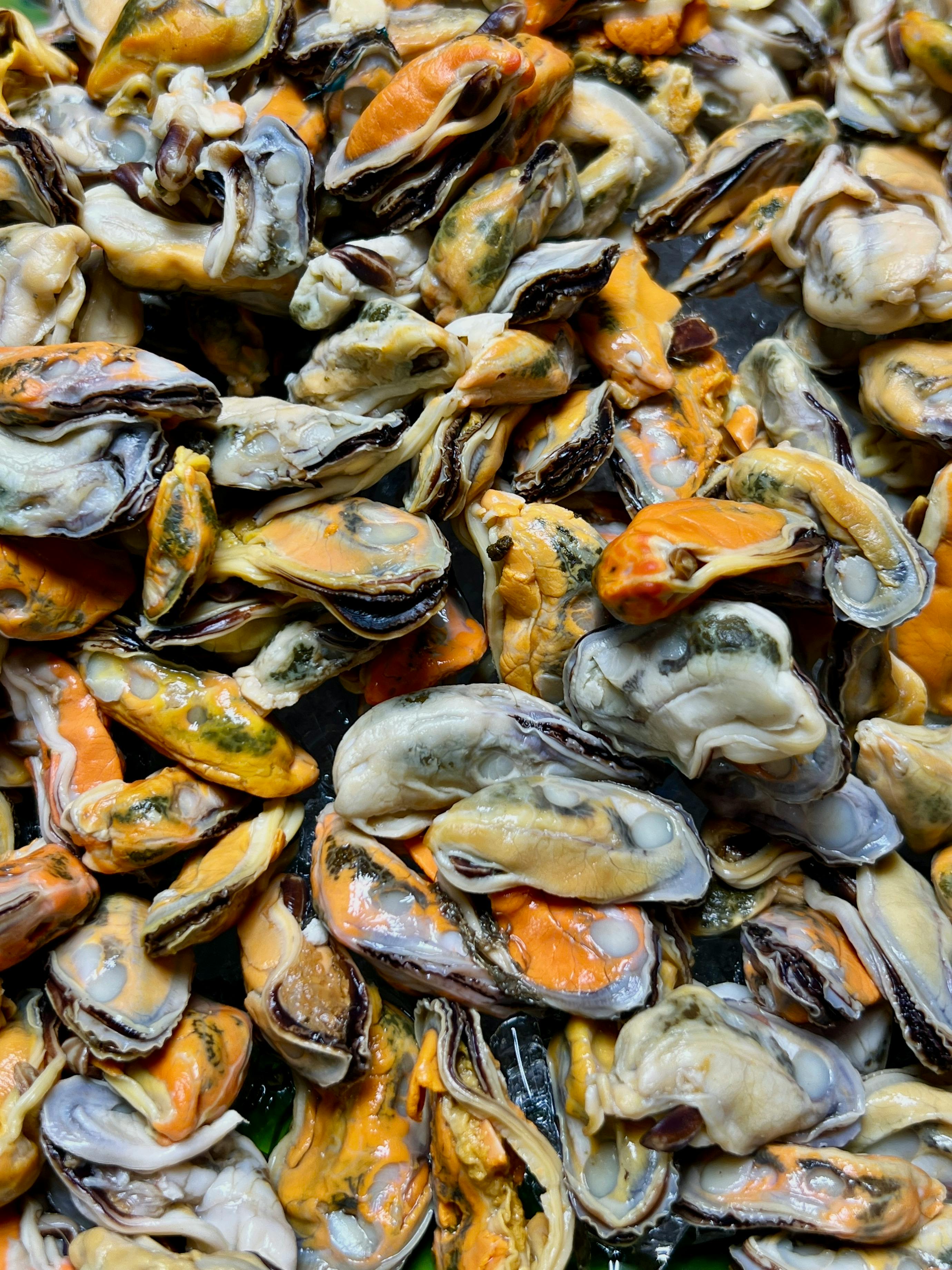 Fresh Mussels on Display at Seafood Market · Free Stock Photo