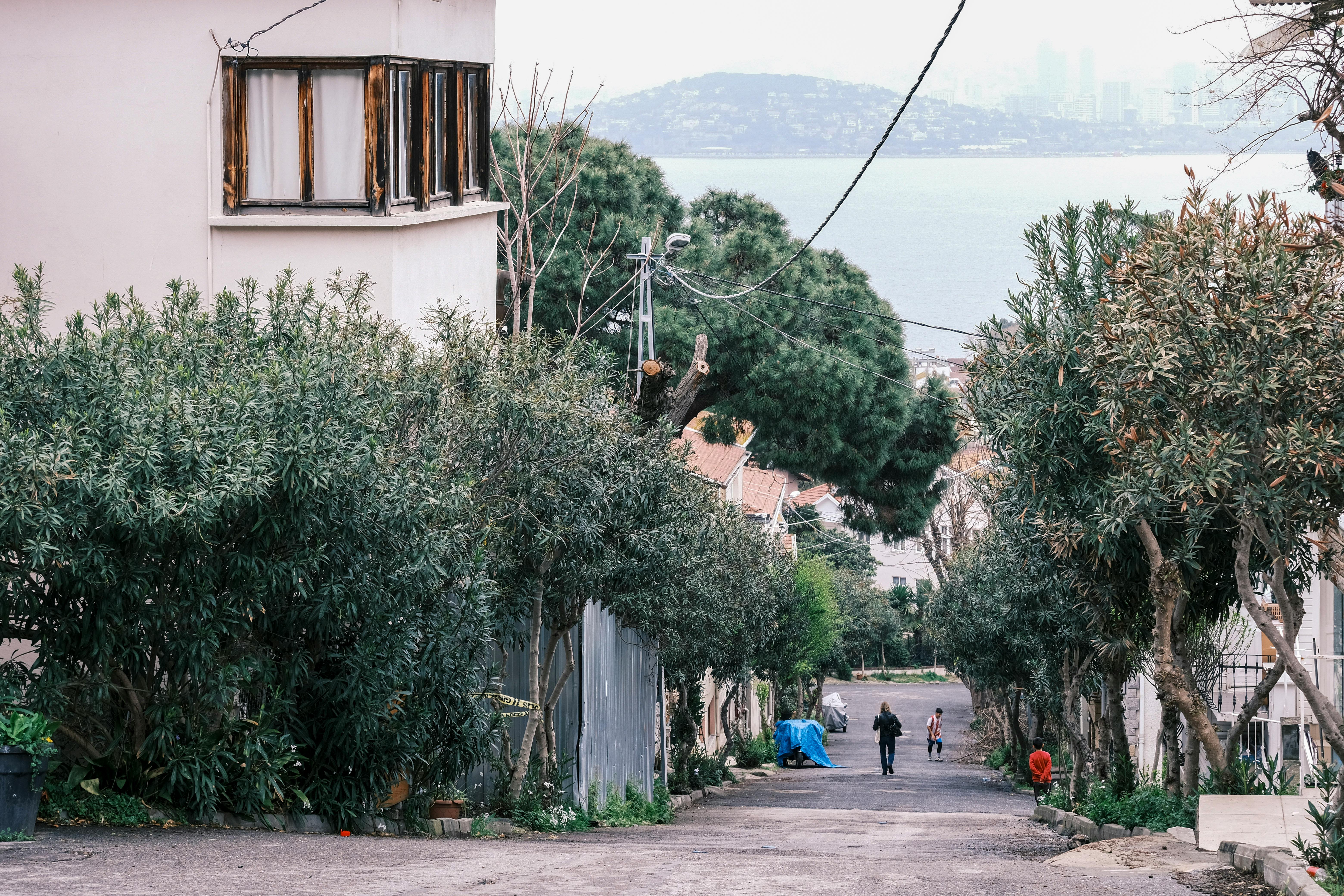 Scenic Street View in İstanbul Overlooking Sea · Free Stock Photo