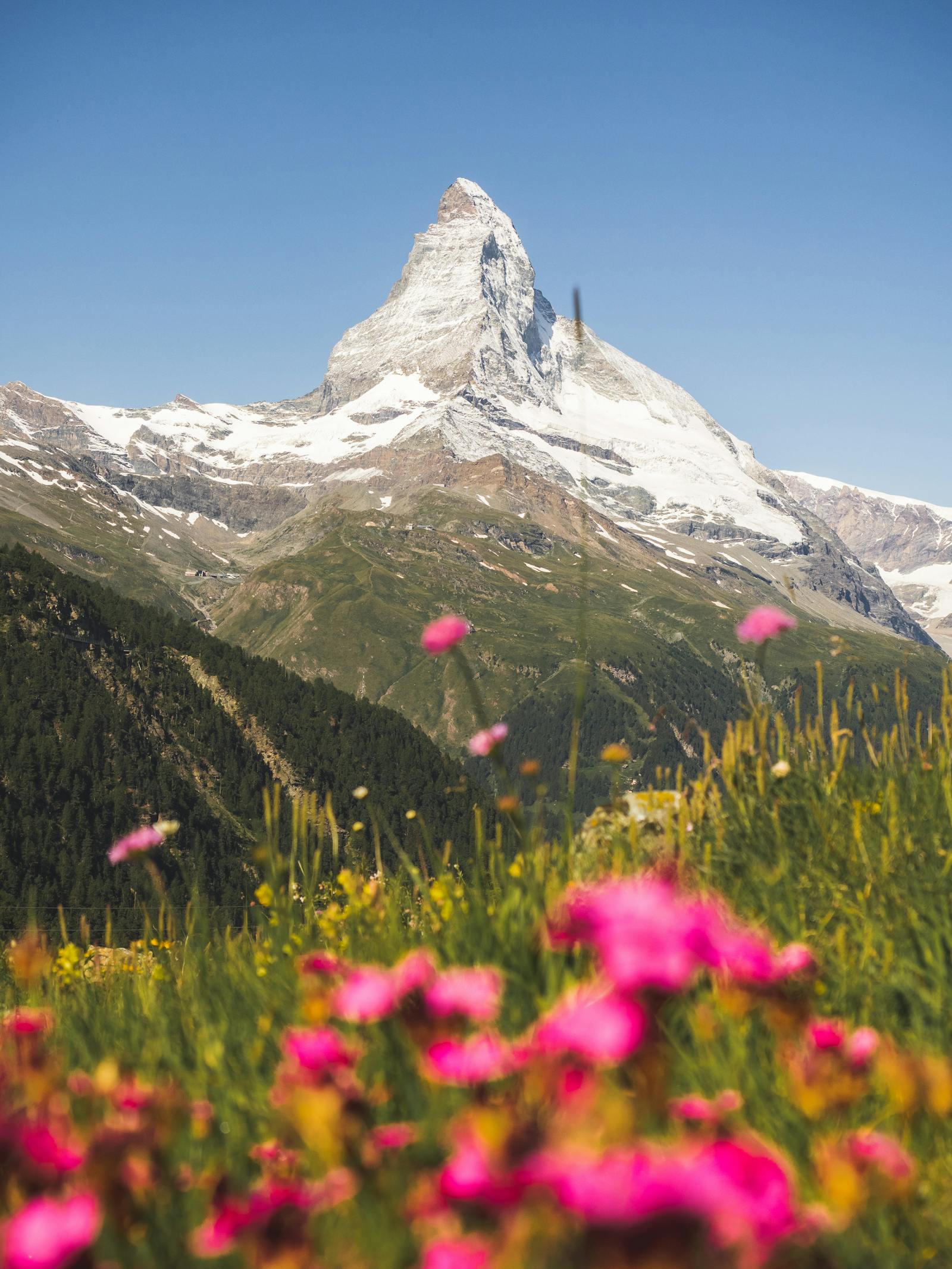 Nature View Photos, Download The BEST Free Nature View Stock Photos ...