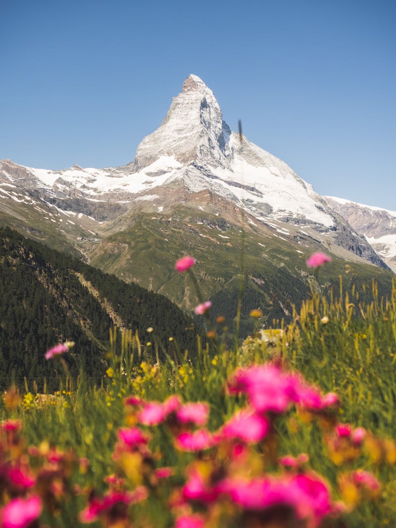 Nature View Photos, Download The BEST Free Nature View Stock Photos ...