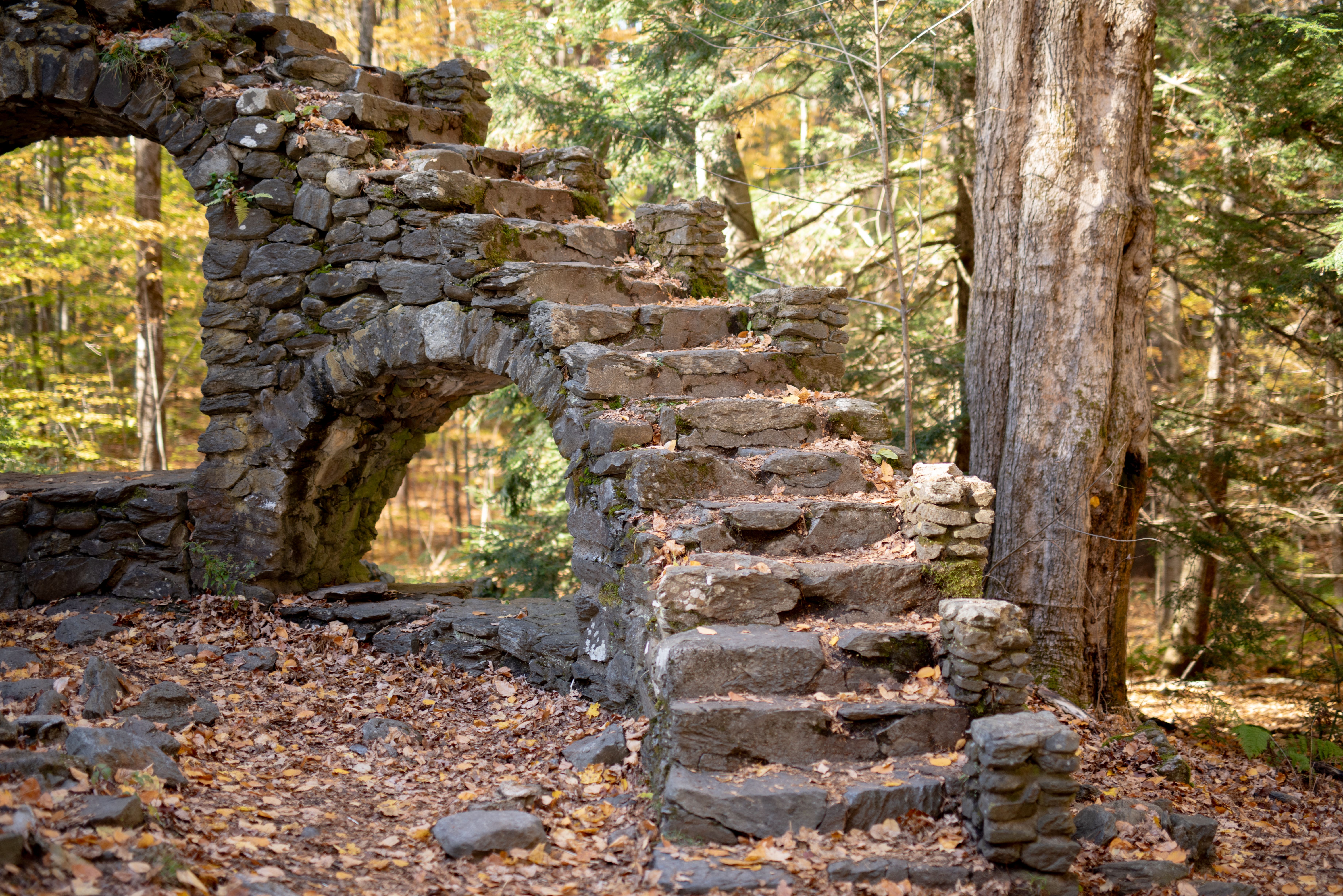 Stone Ruins in Autumn Forest · Free Stock Photo