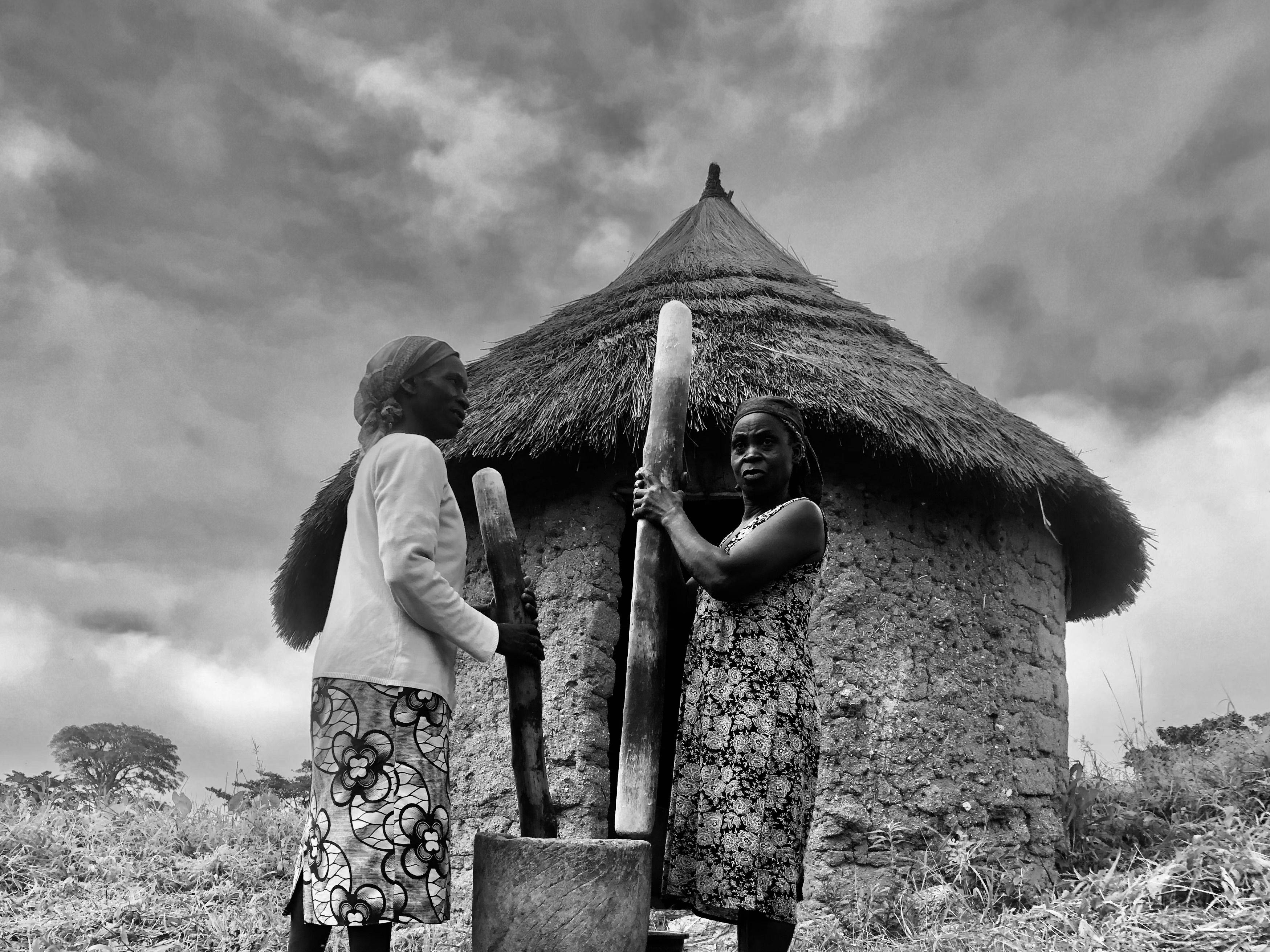 Traditional Nigerian Farming Scene with Hut · Free Stock Photo