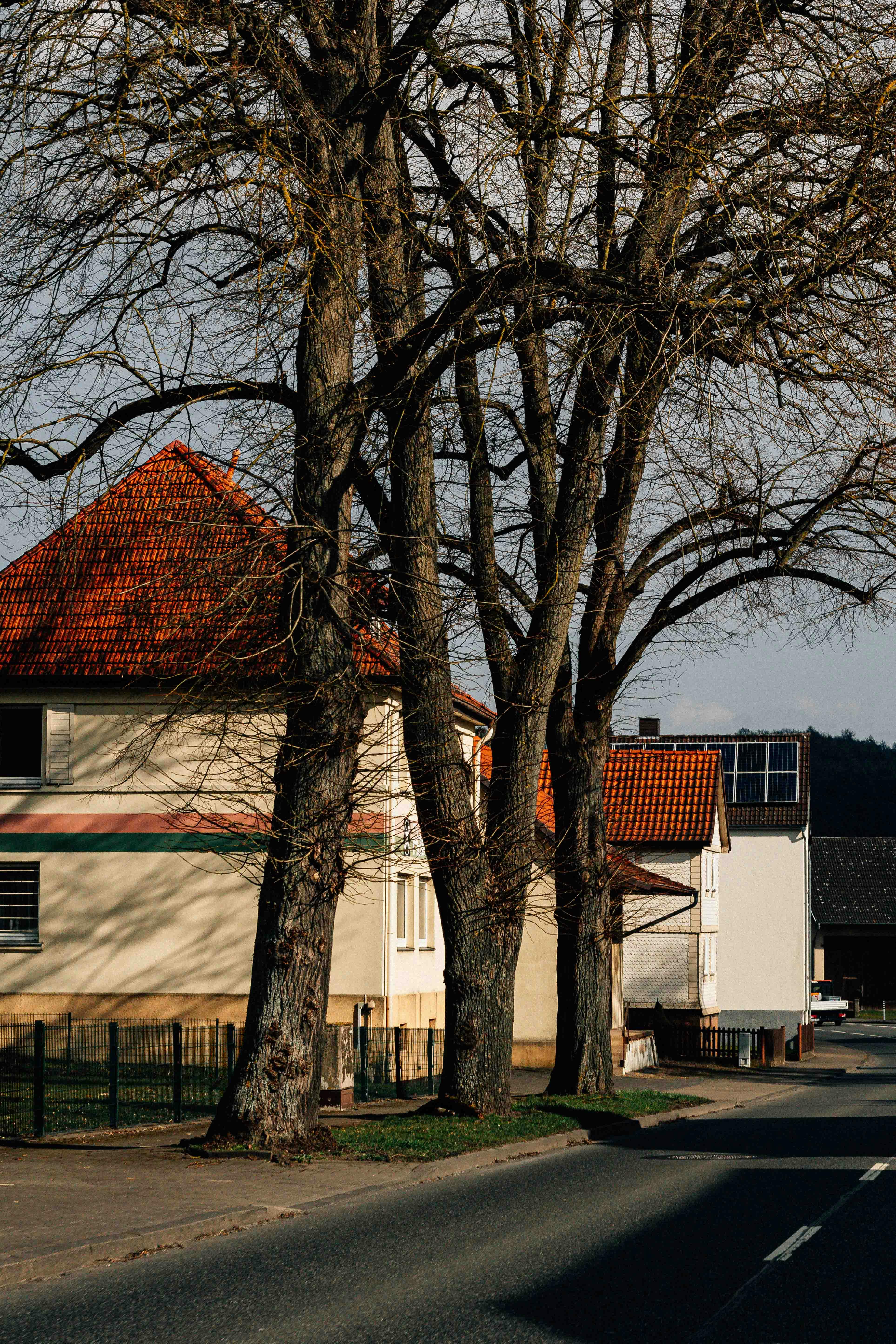 Isolated Forest Photos, Download The BEST Free Isolated Forest Stock ...