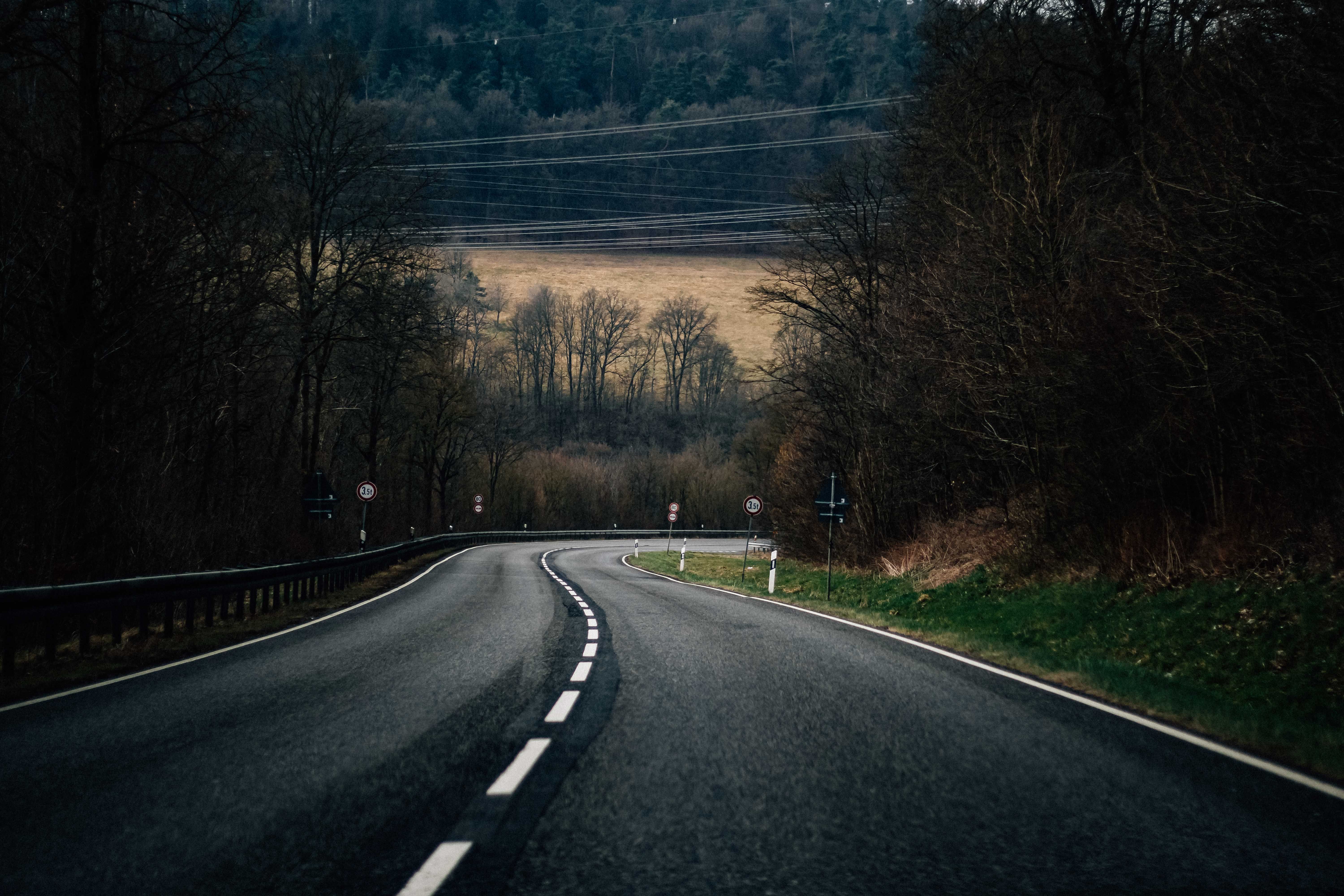 Scenic Curved Road Through Autumn Forest Landscape · Free Stock Photo