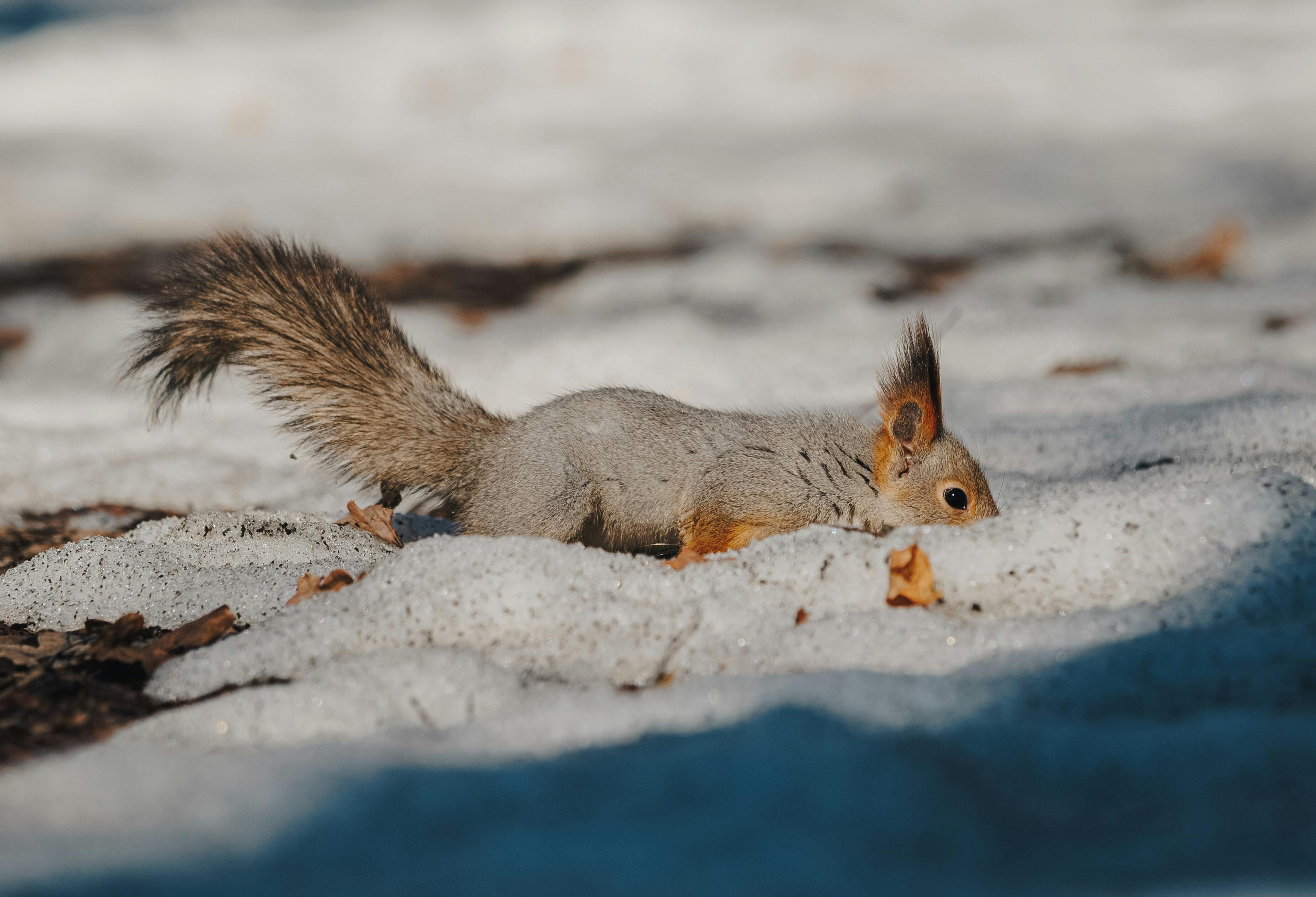 Cold Behaviour Photos, Download The BEST Free Cold Behaviour Stock ...