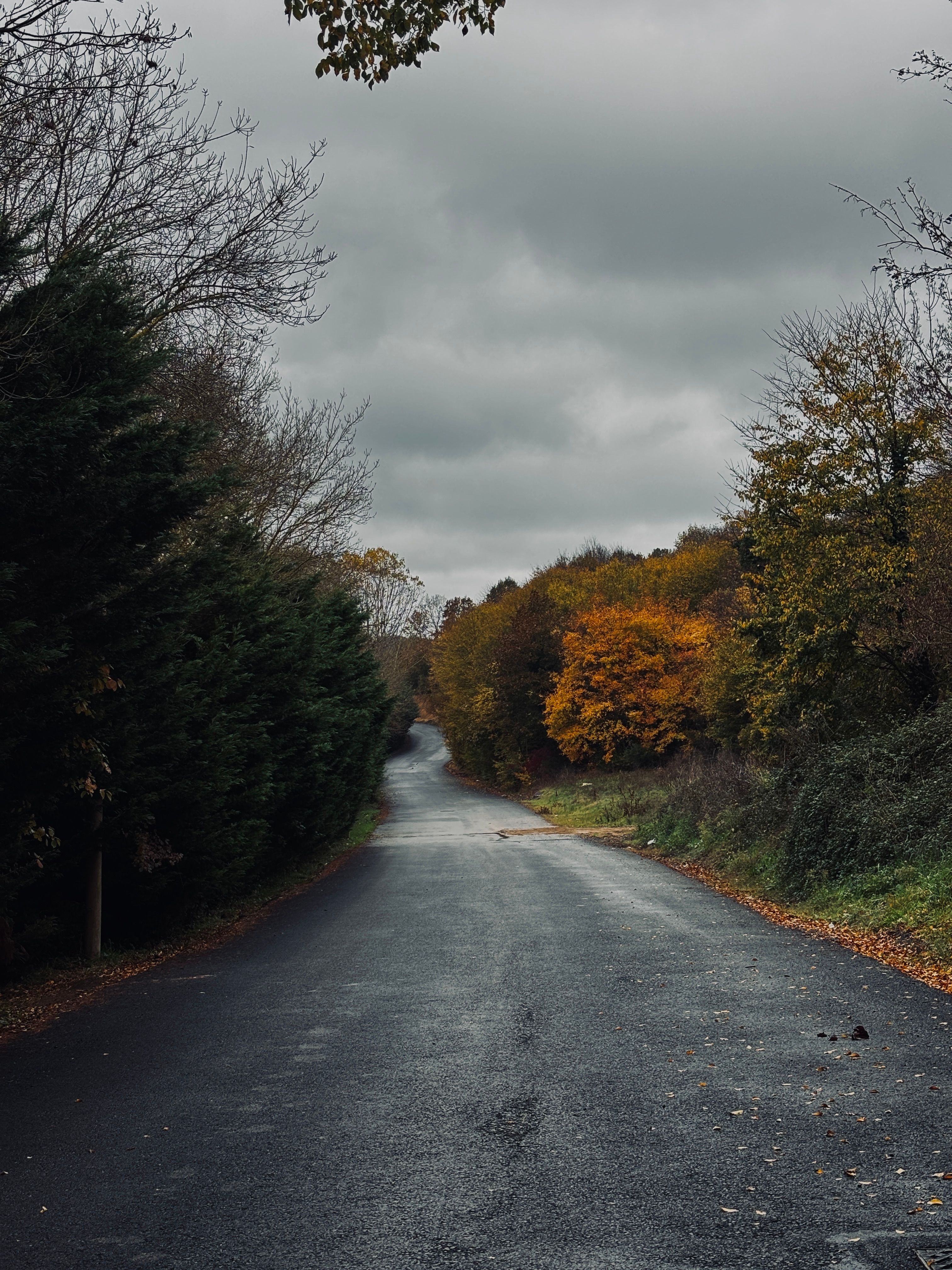 Scenic Autumn Road in Istanbul, Turkey · Free Stock Photo