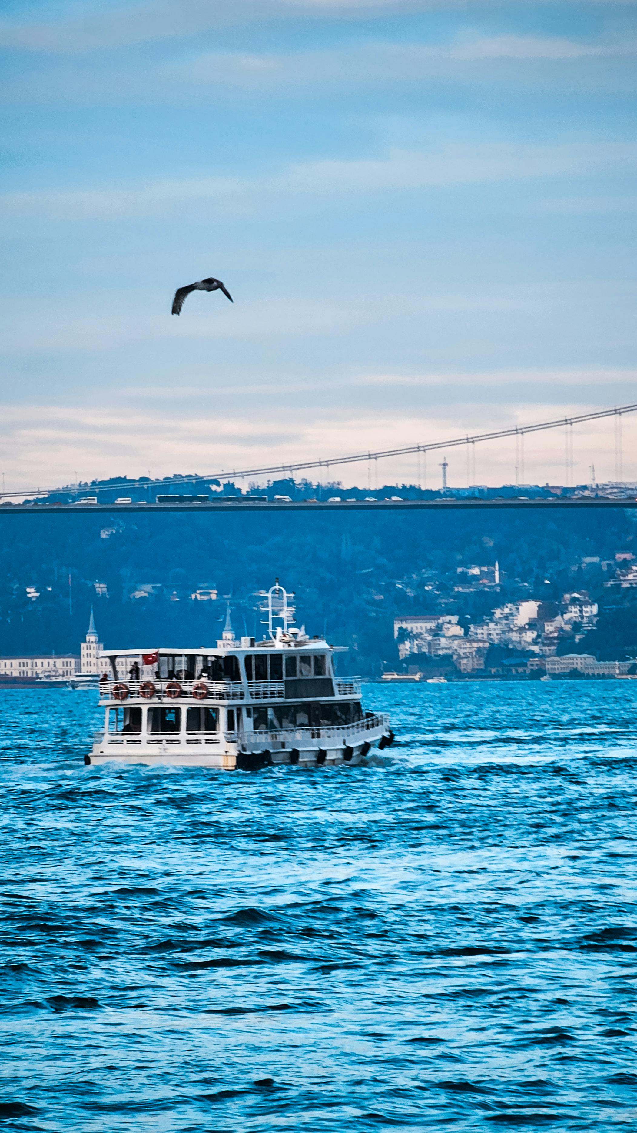 Ferry Crossing Istanbul's Bosphorus Straits · Free Stock Photo