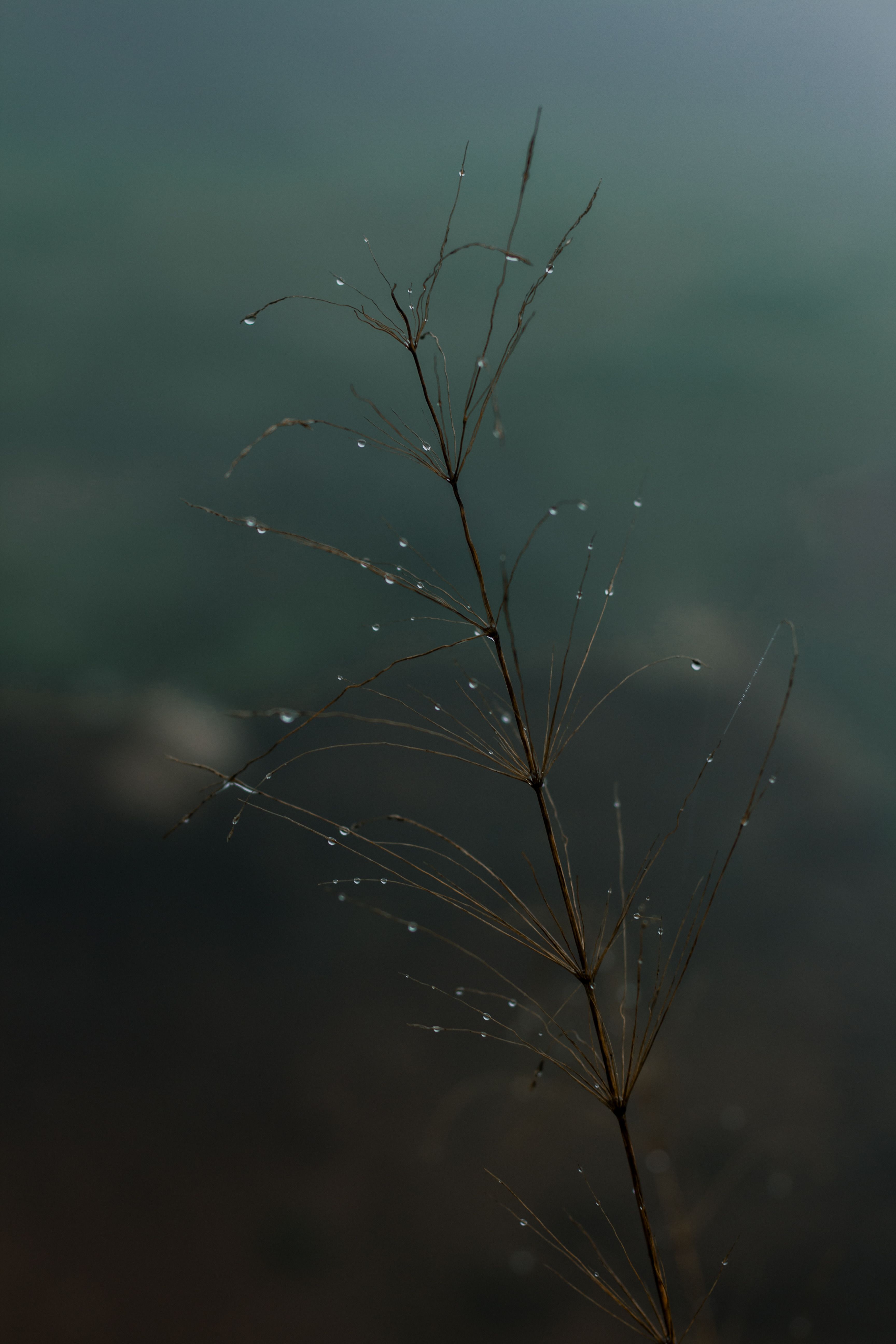 Soft Photography Photos, Download The BEST Free Soft Photography Stock ...