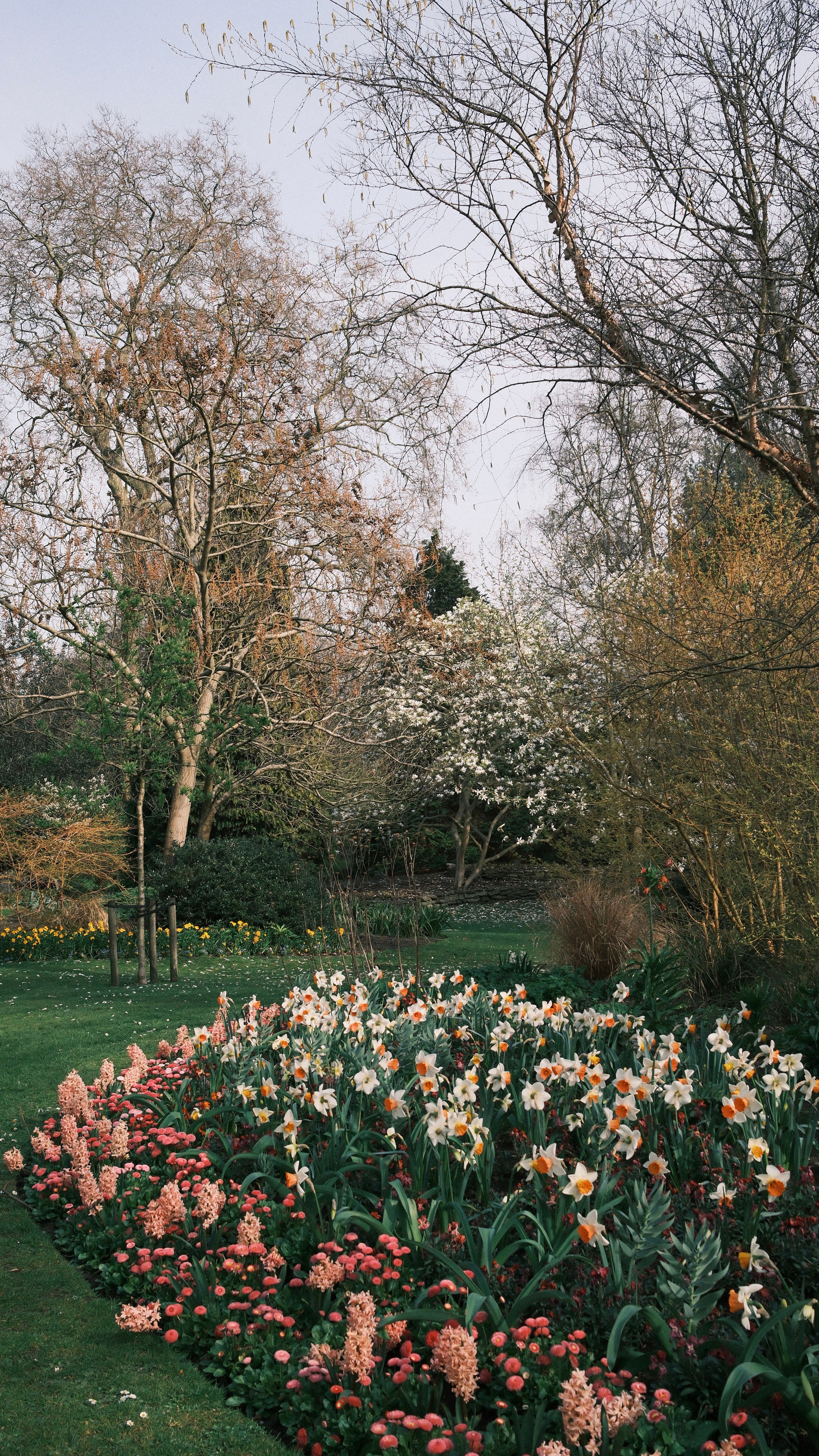Beautiful Springtime Garden Landscape with Blossoming Trees · Free ...