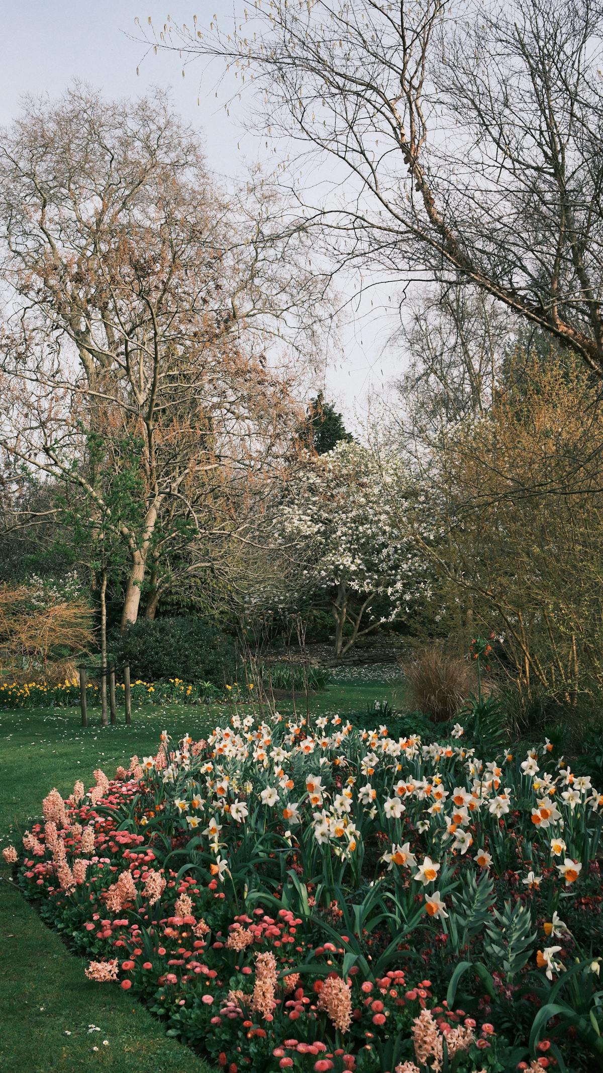 Garden Landscape Photos, Download The BEST Free Garden Landscape Stock ...