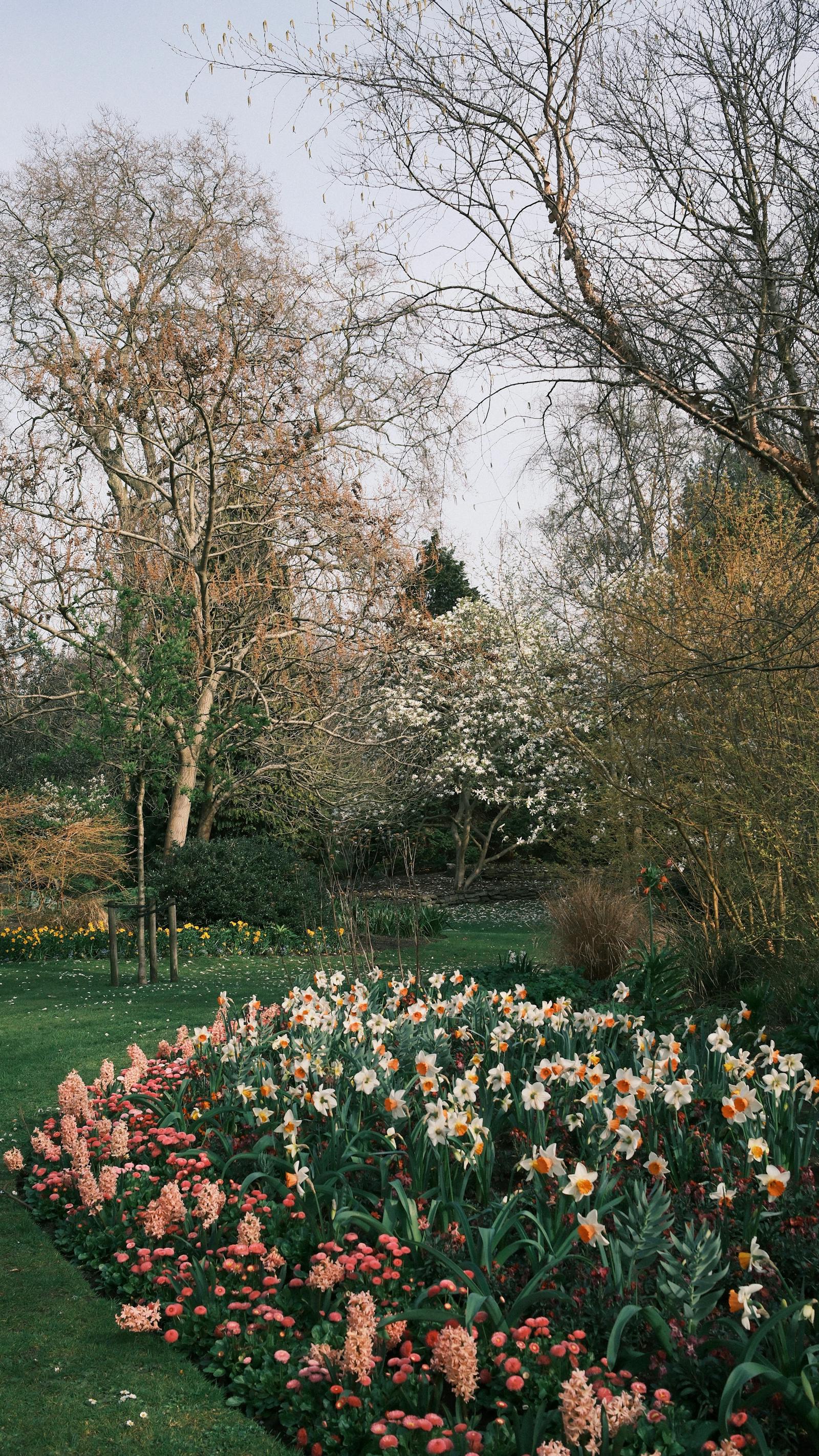 Garden Landscape Photos, Download The BEST Free Garden Landscape Stock ...