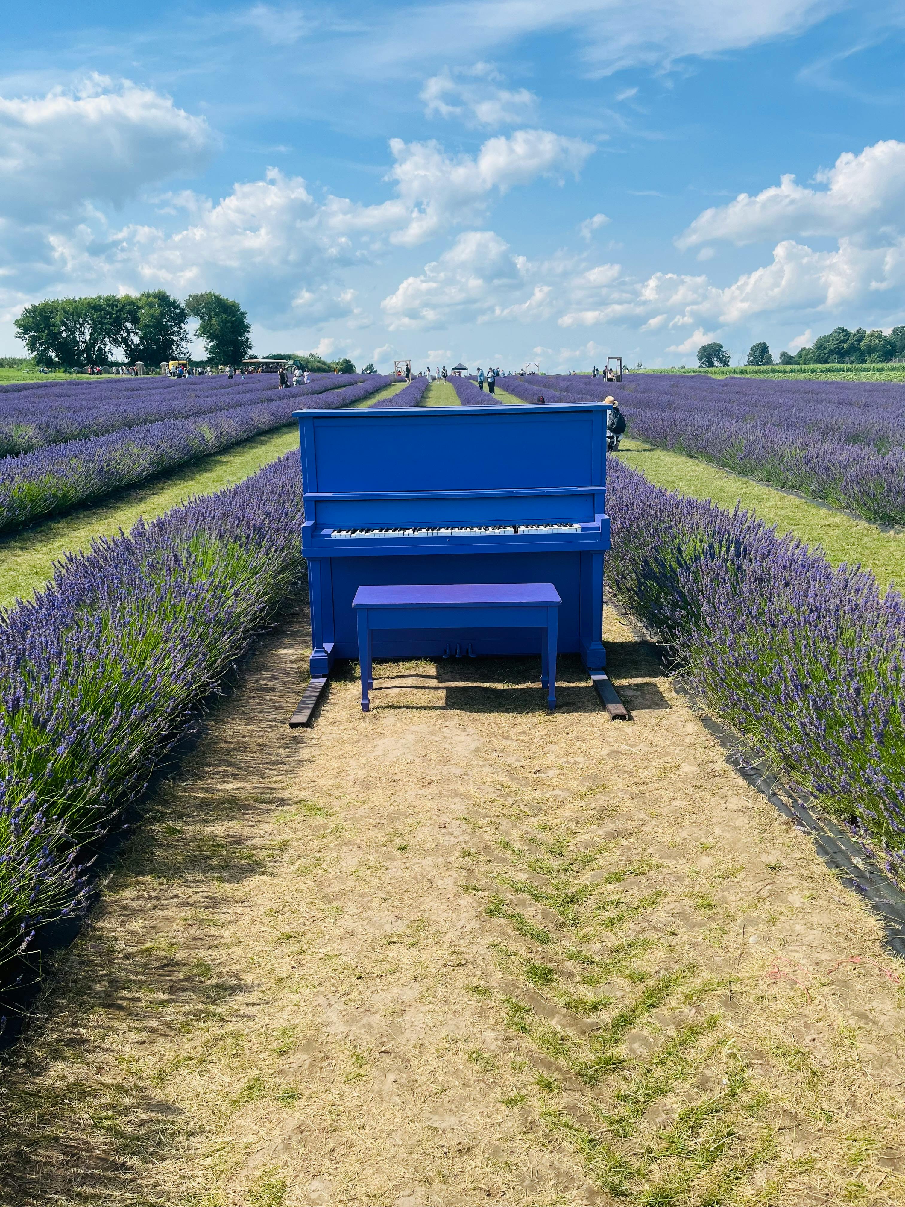 Piano Landscape Photos, Download The BEST Free Piano Landscape Stock ...