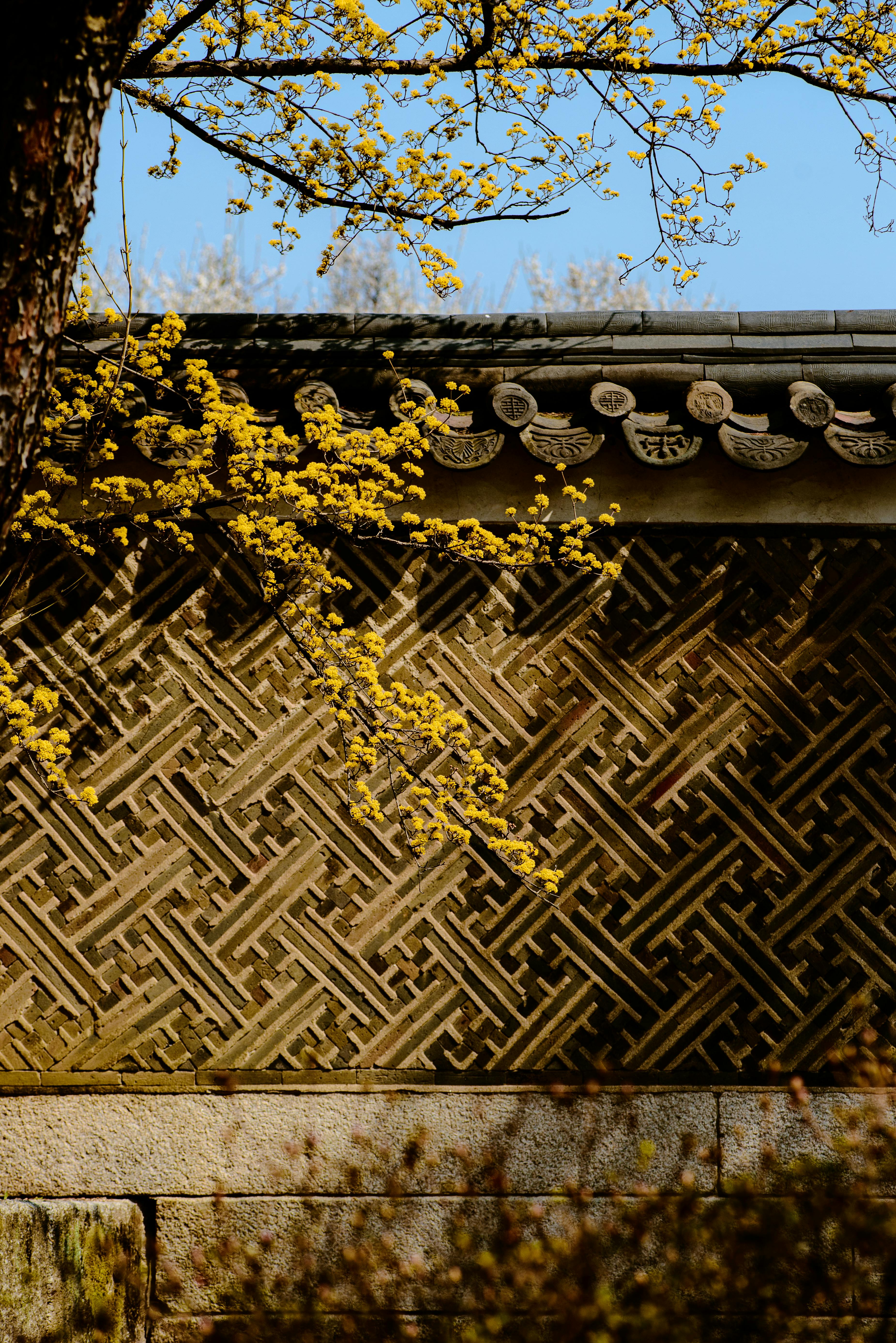 Taegeuk Pattern Photos, Download The BEST Free Taegeuk Pattern Stock ...