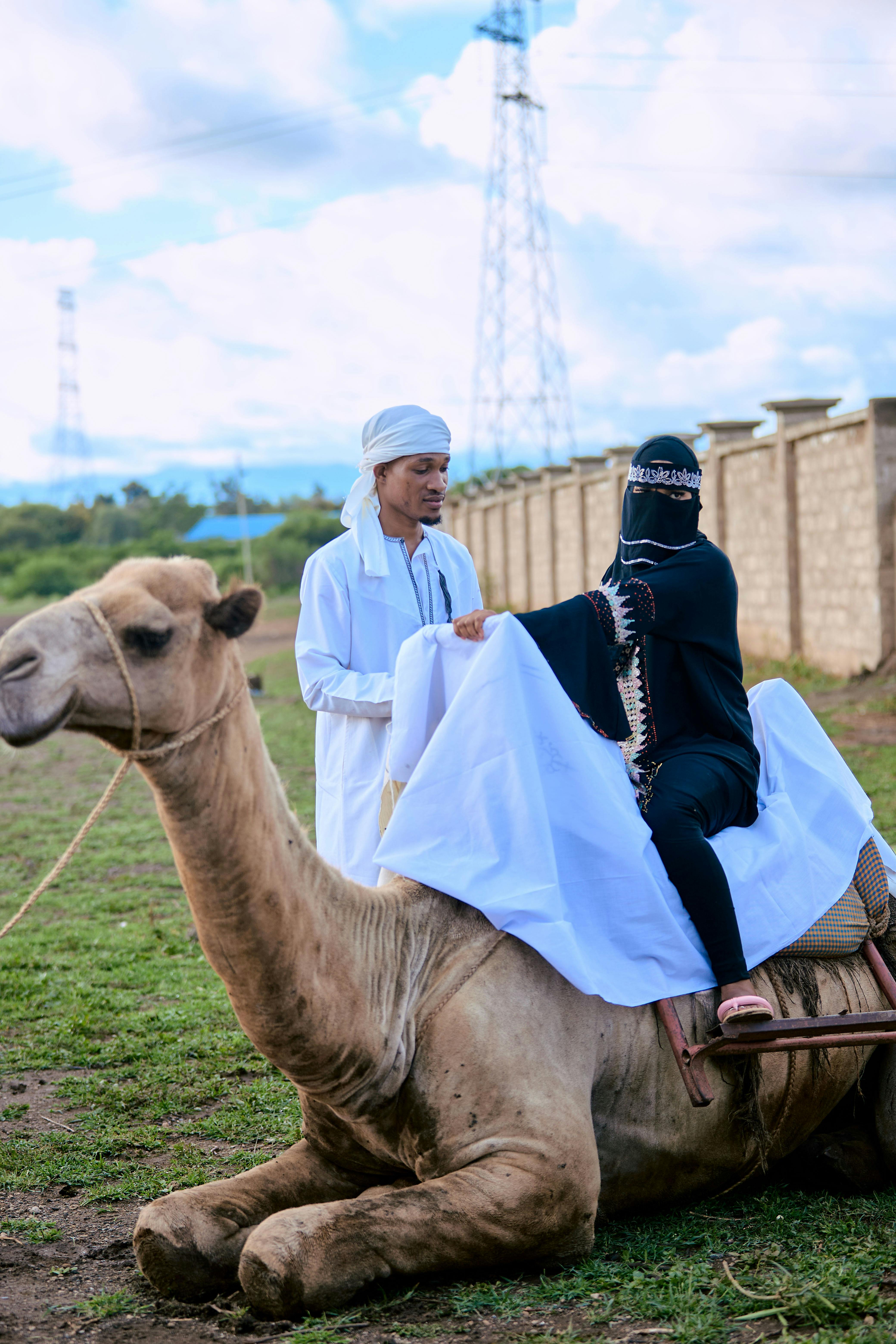 Traditional Middle Eastern Camel Ride Experience · Free Stock Photo