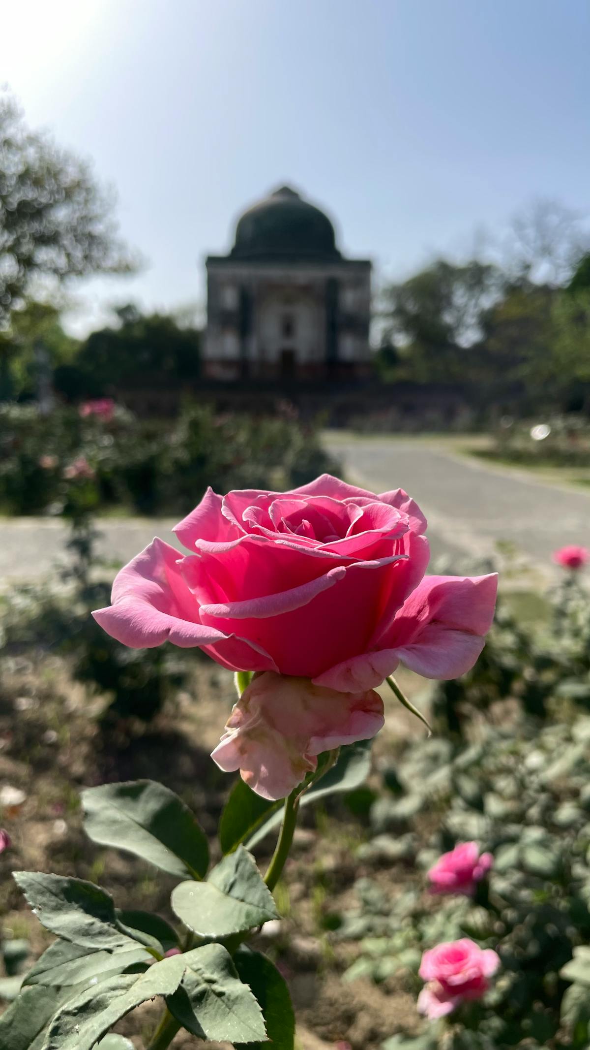 Inskip+Navigationsearchcreate9+Avatar ...