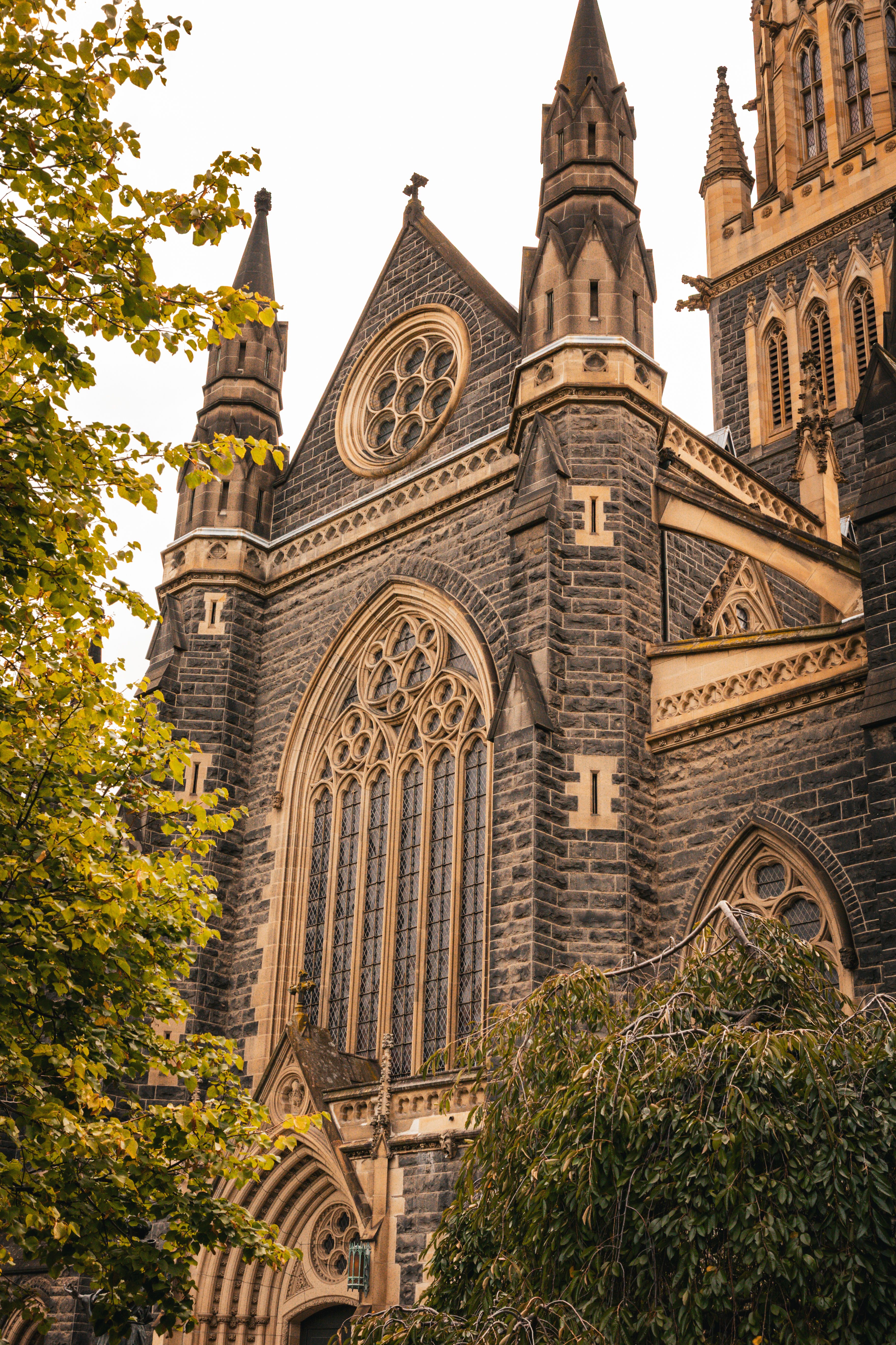 Gothic Architecture of St Patrick's Cathedral in Melbourne · Free Stock ...
