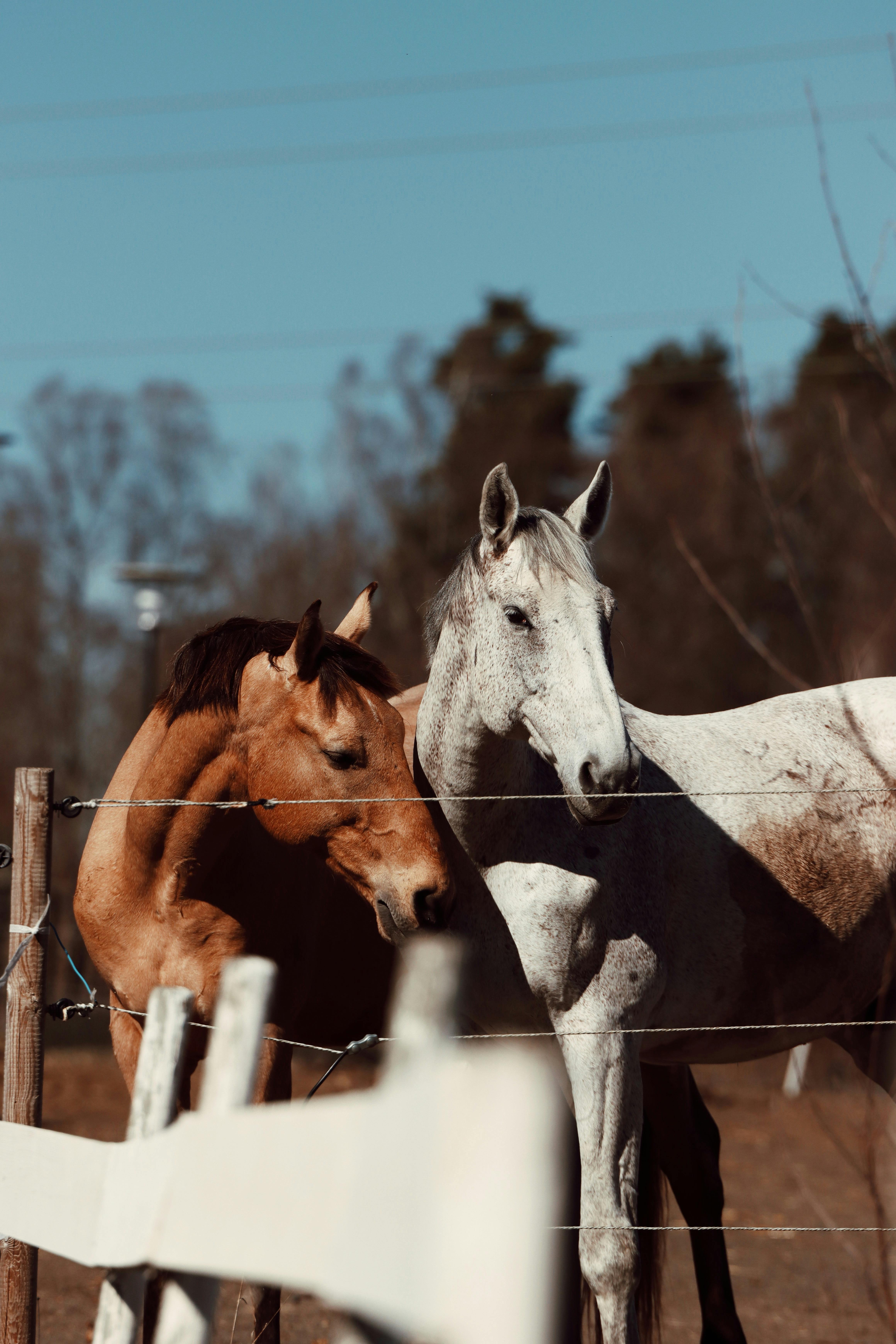 Animated Nature Land Scapes Photos, Download The BEST Free Animated Nature Land Scapes Stock ...