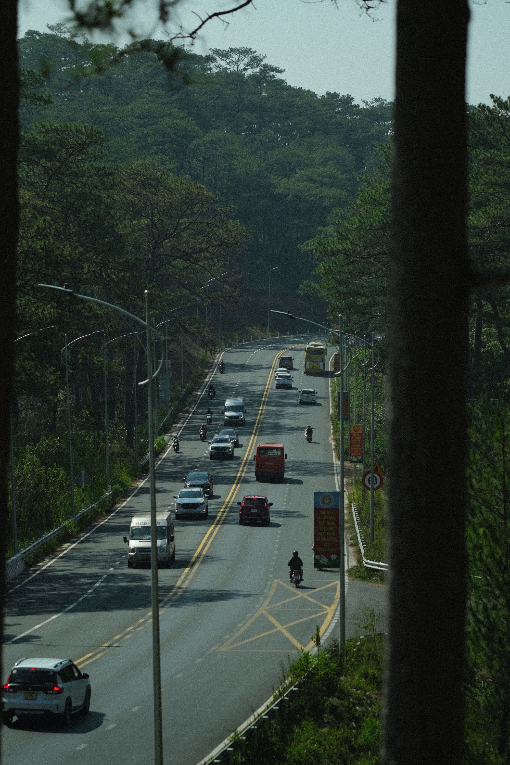 Traffic on forest road with vehicles and greenery · Free Stock Photo