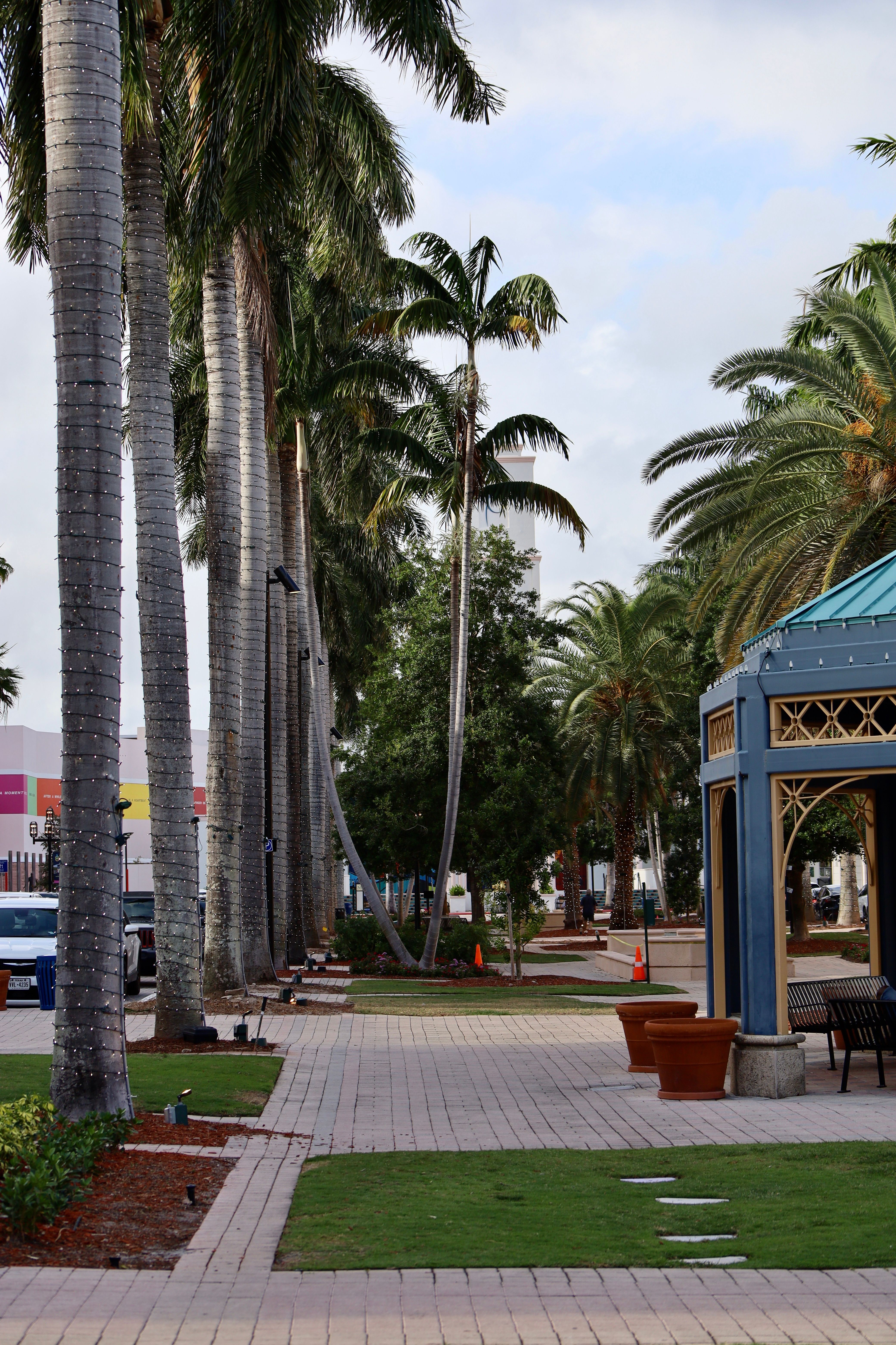 Palm Tree Lined Walkway with Gazebo · Free Stock Photo