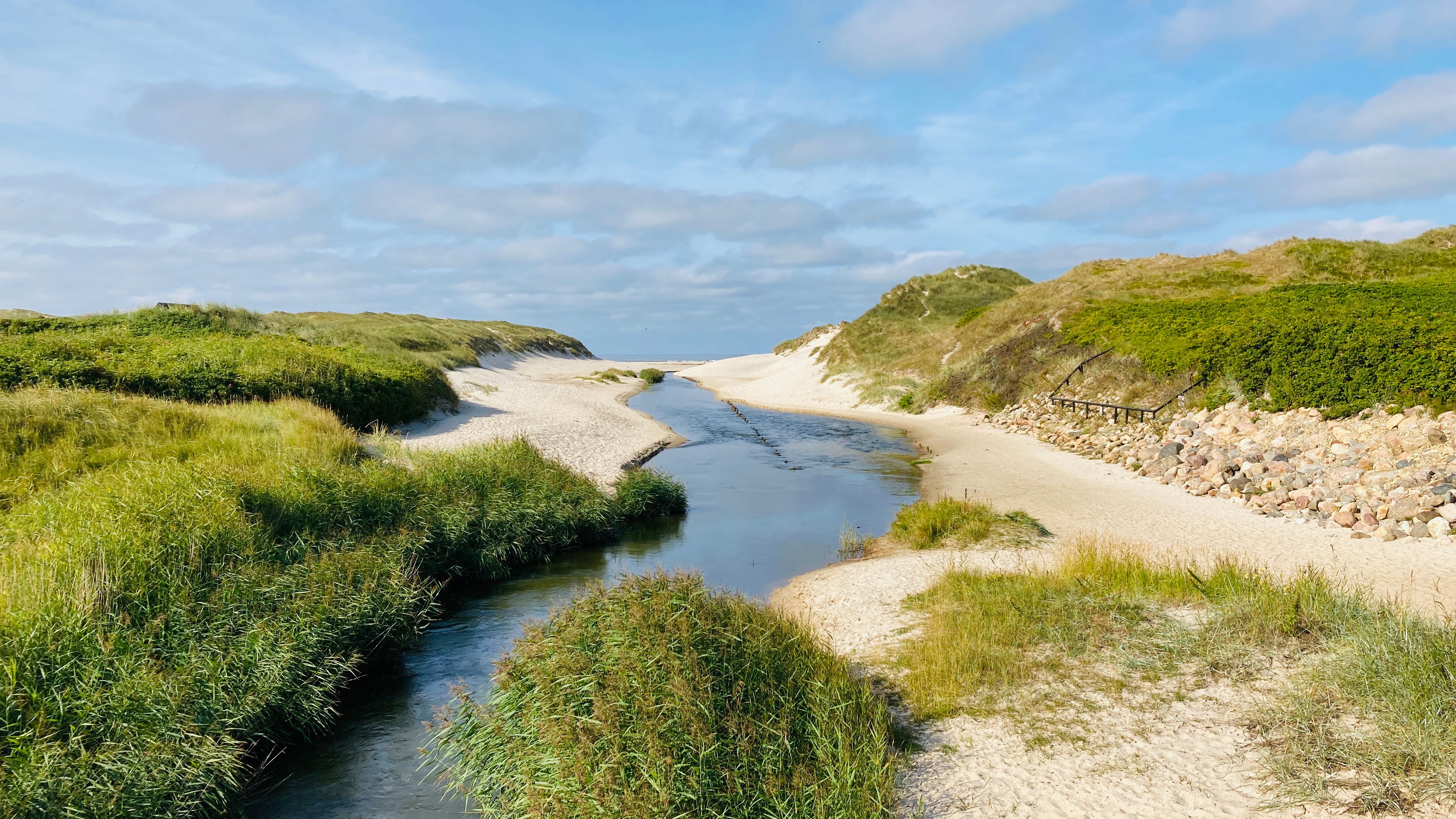 Denmark Wildlife Photos, Download The BEST Free Denmark Wildlife Stock ...