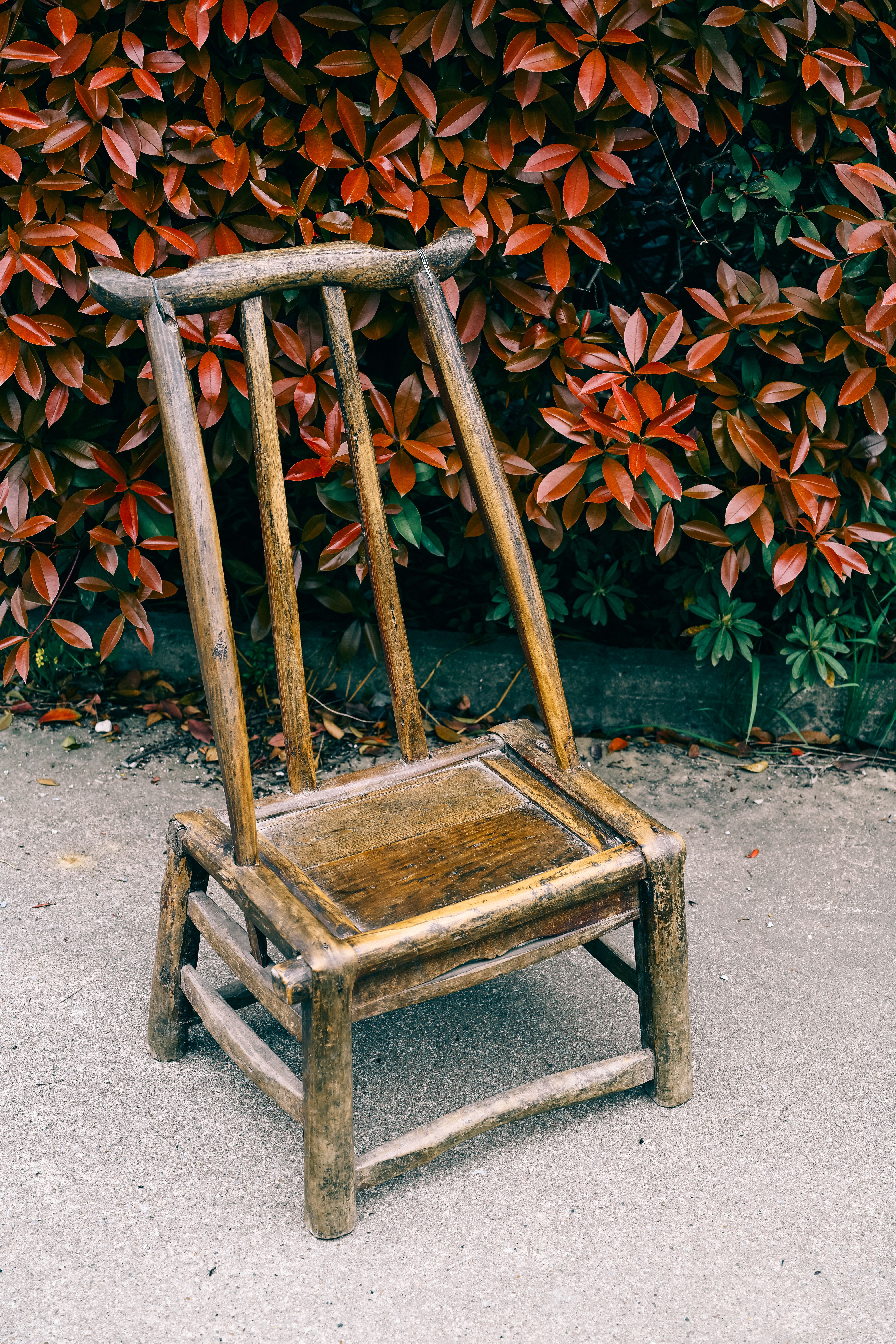 Rustic Wooden Chair Against Autumn Foliage · Free Stock Photo