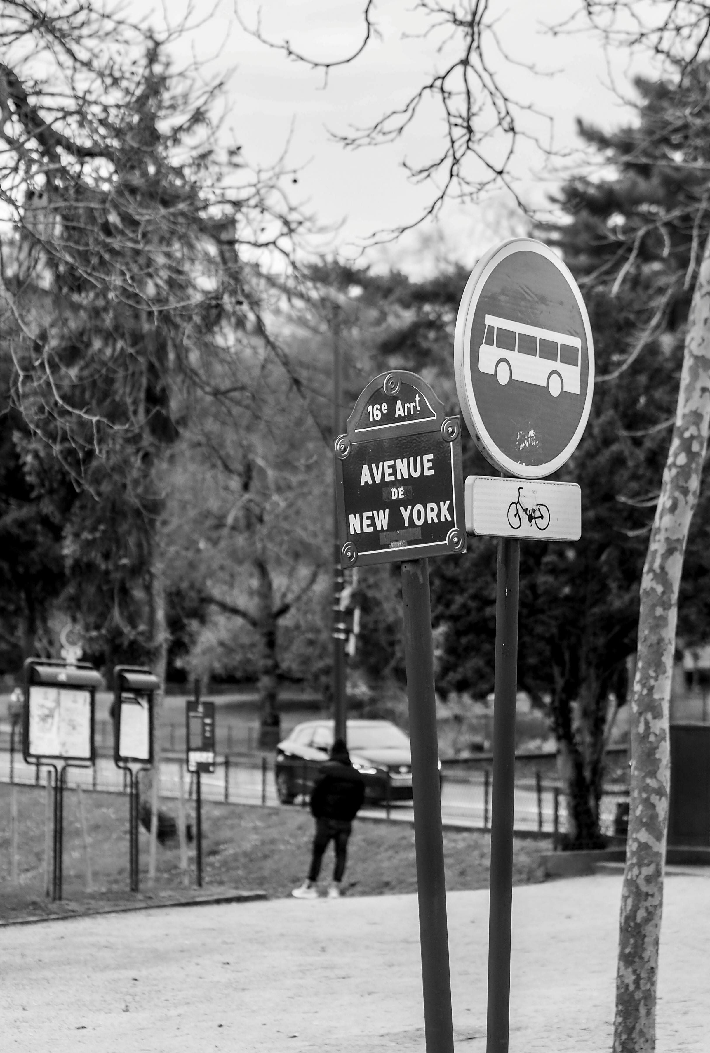 Laura Chouette - Photography