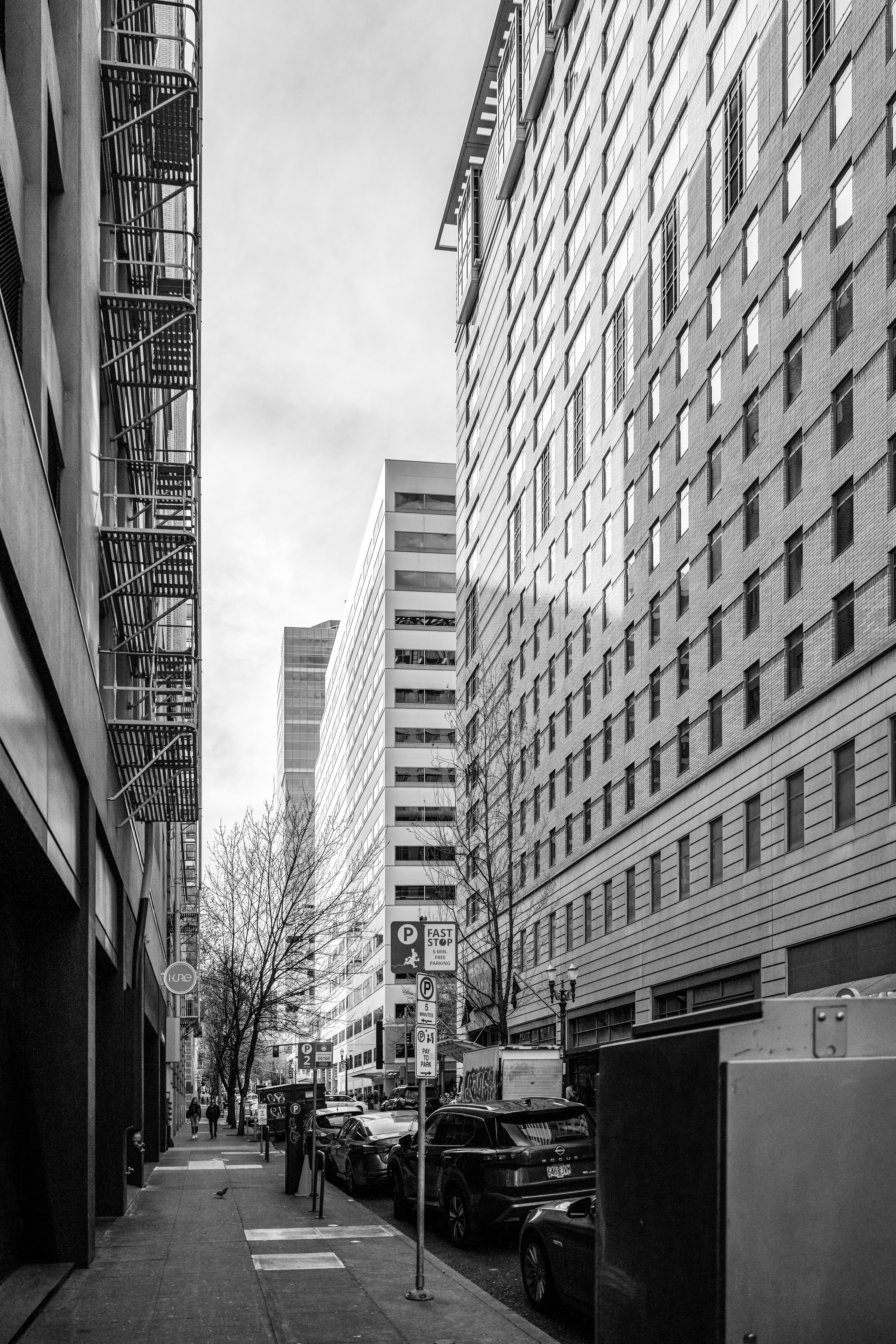 Downtown Portland Urban Street View in Black and White · Free Stock Photo