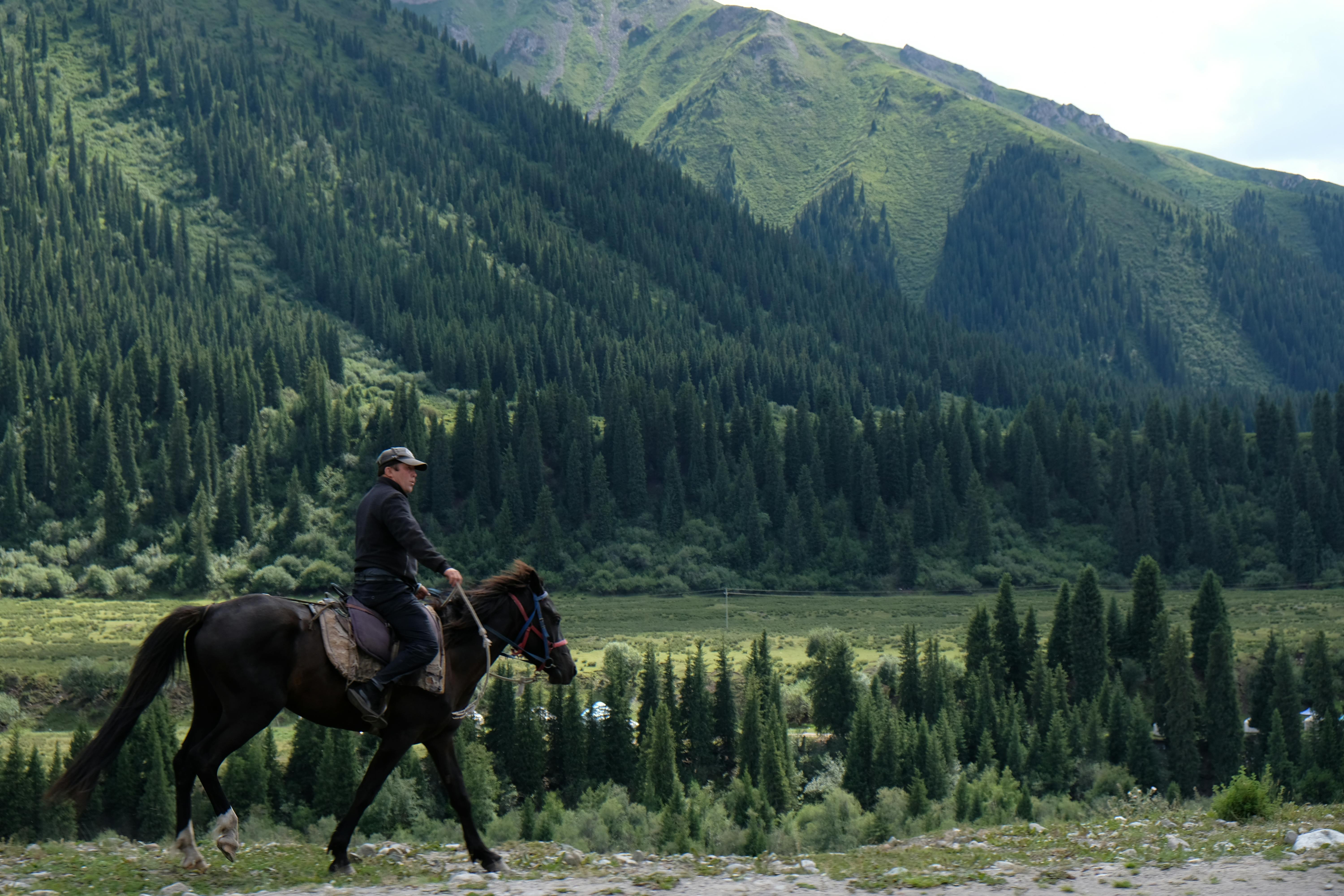 Man Horseback Riding in Scenic Mountain Valley · Free Stock Photo
