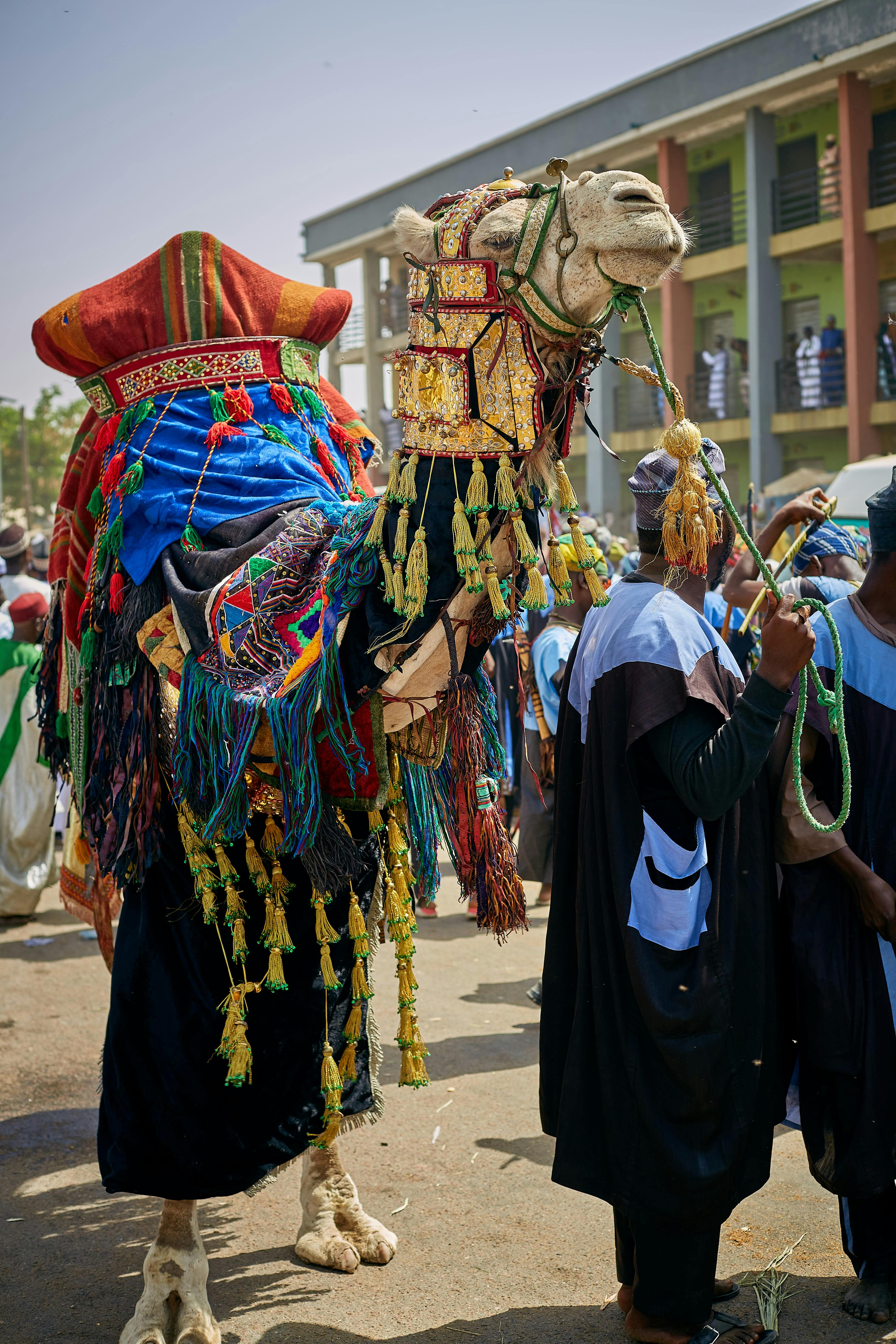 Celebrate Filipinos Photos, Download The BEST Free Celebrate Filipinos ...