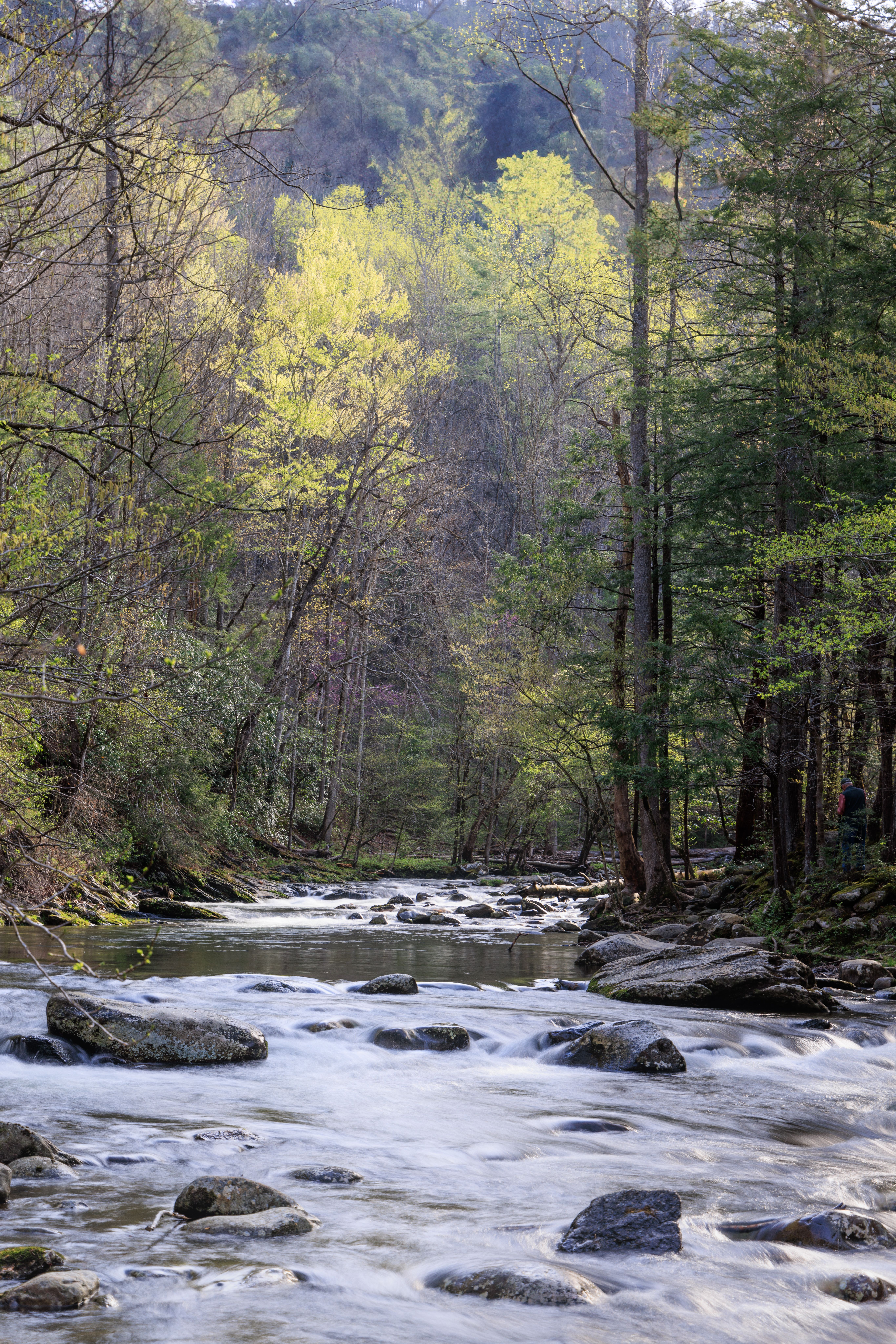 Creek Flow Photos, Download The BEST Free Creek Flow Stock Photos & HD ...