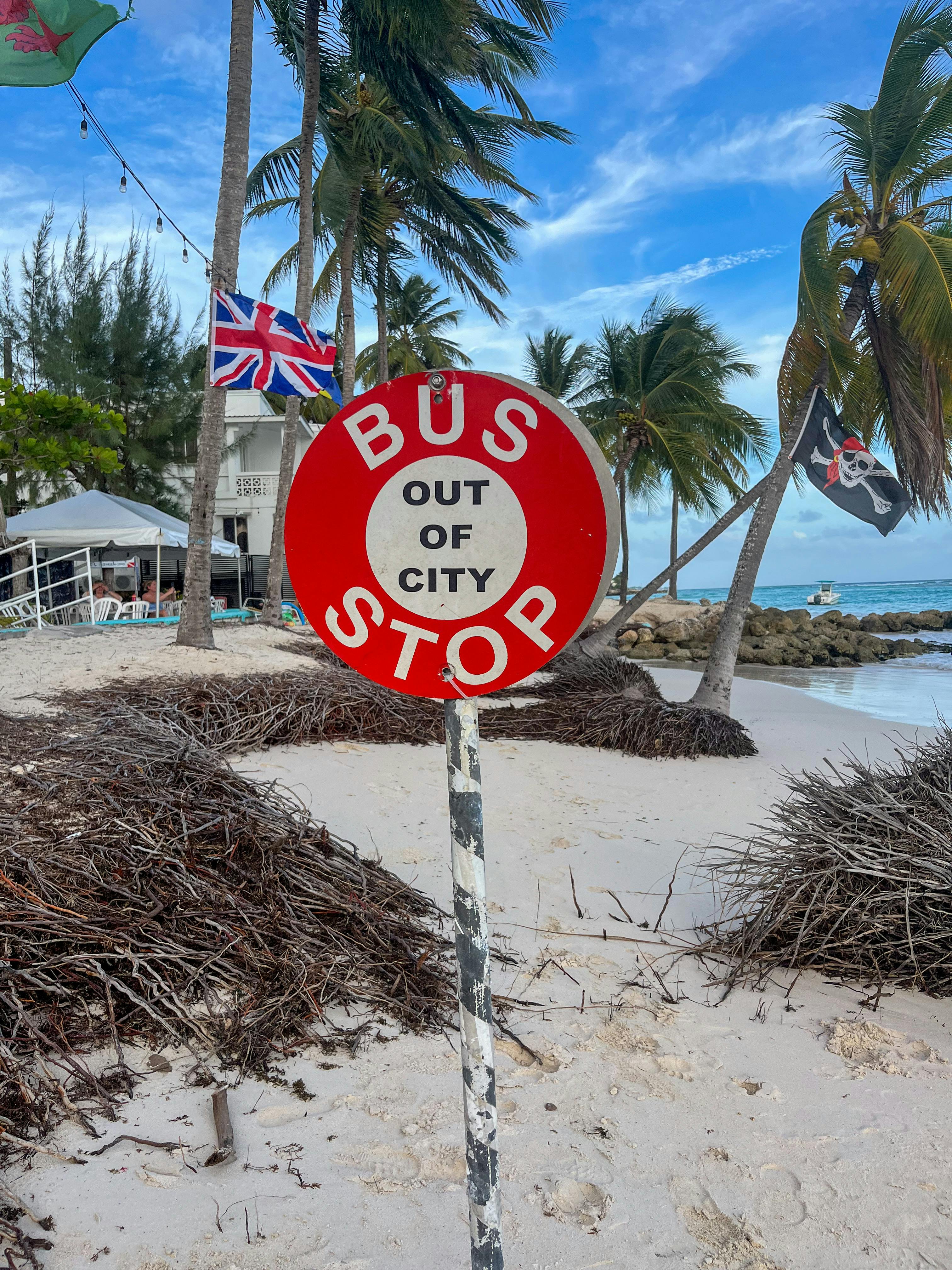 Beachfront Bus Stop Sign on Tropical Island · Free Stock Photo