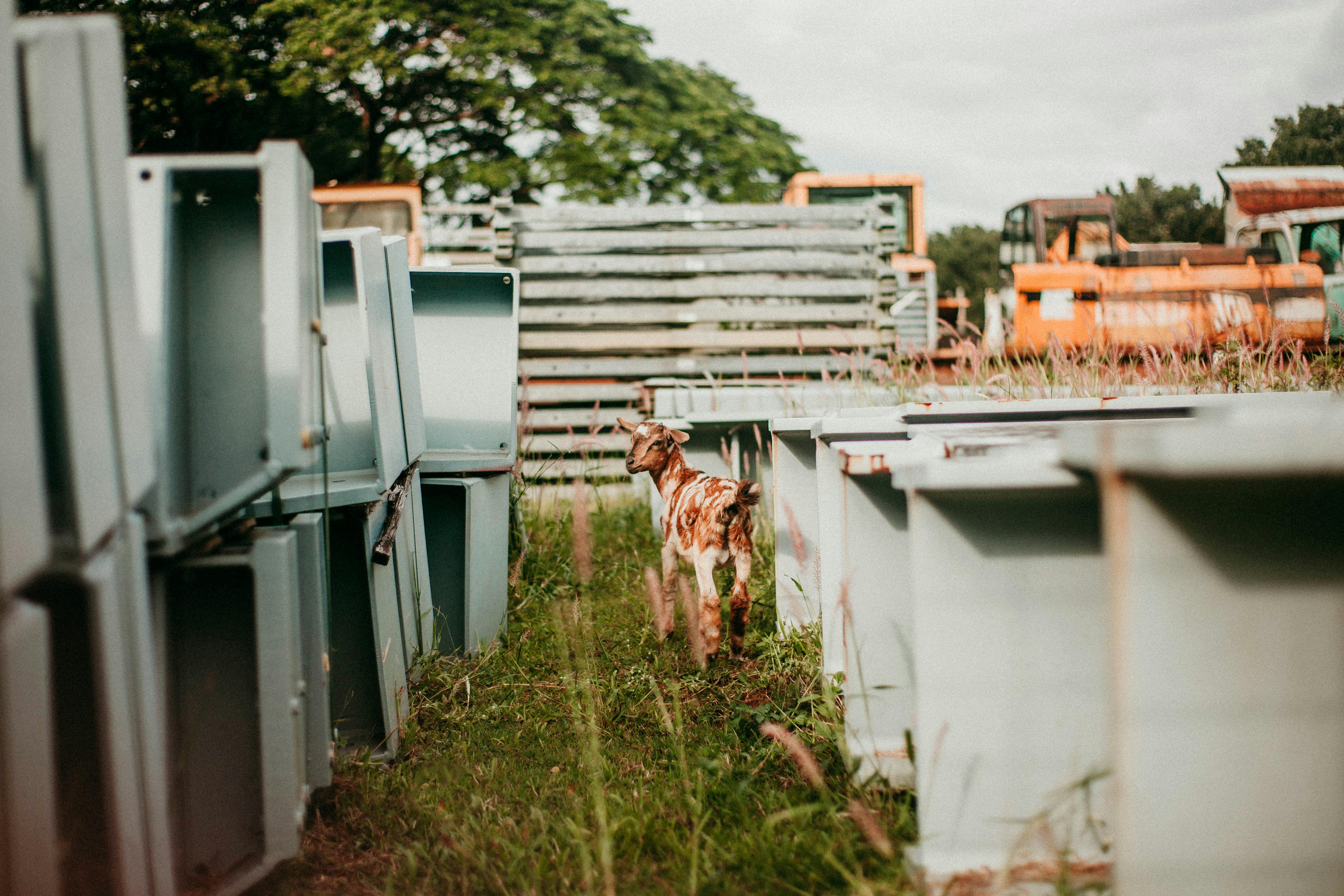 Alexavier Rylee Cimafranca 님의 Desktop Wallpaper 컬렉션 사진 및 동영상 1개