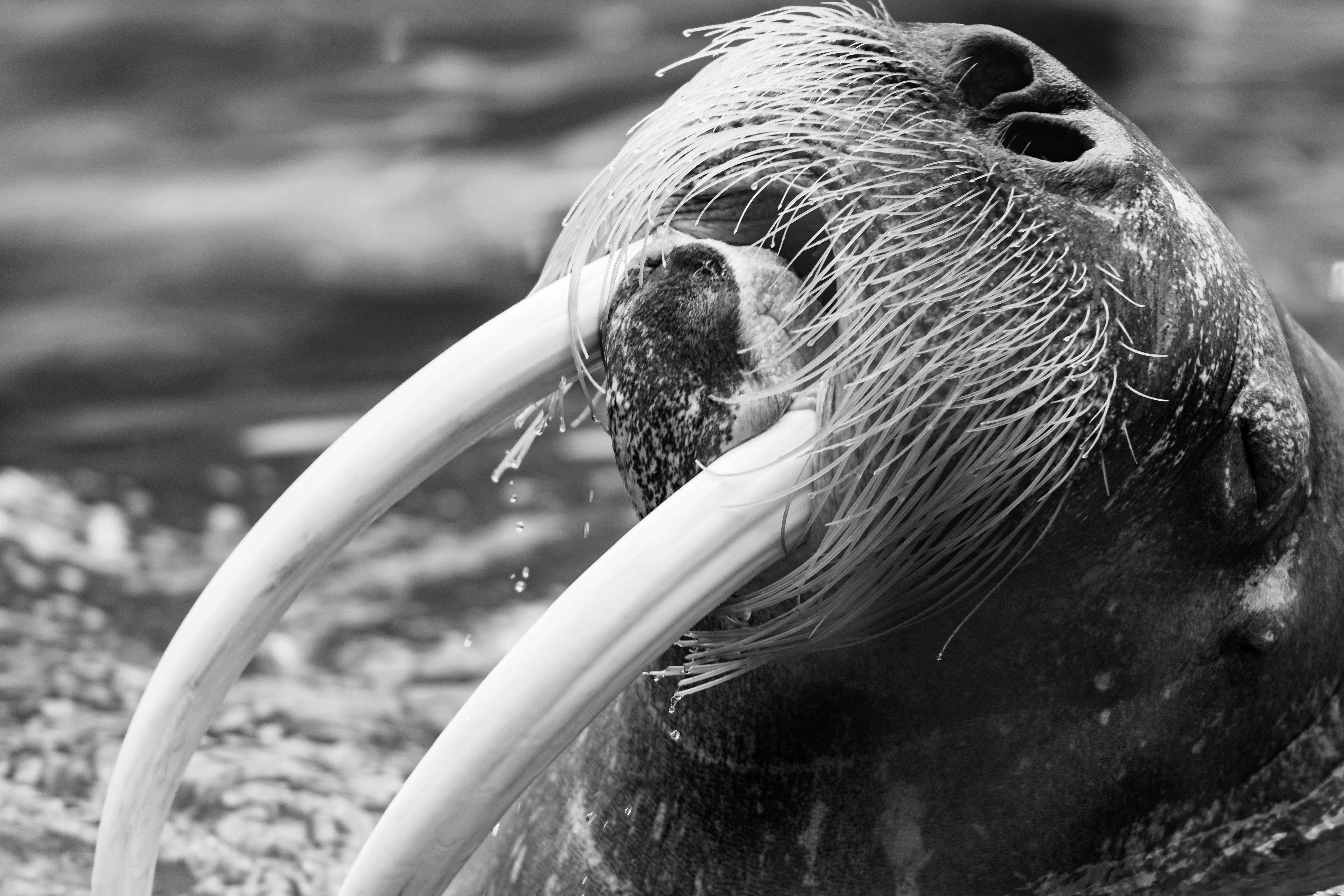 Realistic Deadlines Photos, Download The BEST Free Realistic Deadlines ...