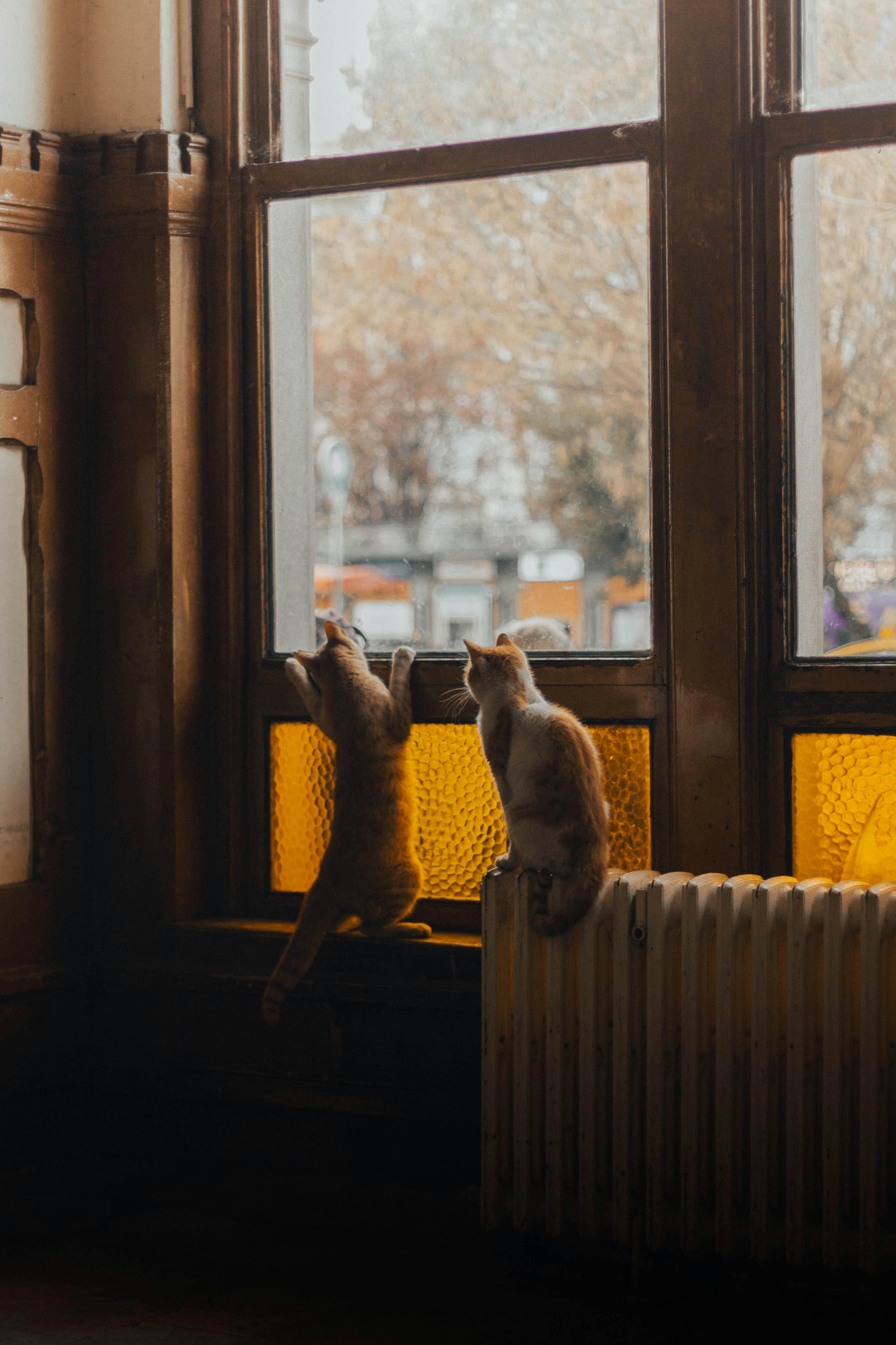 Really+Sus+Anime+Girls+No+Blur Photos, Download The BEST Free Really ...