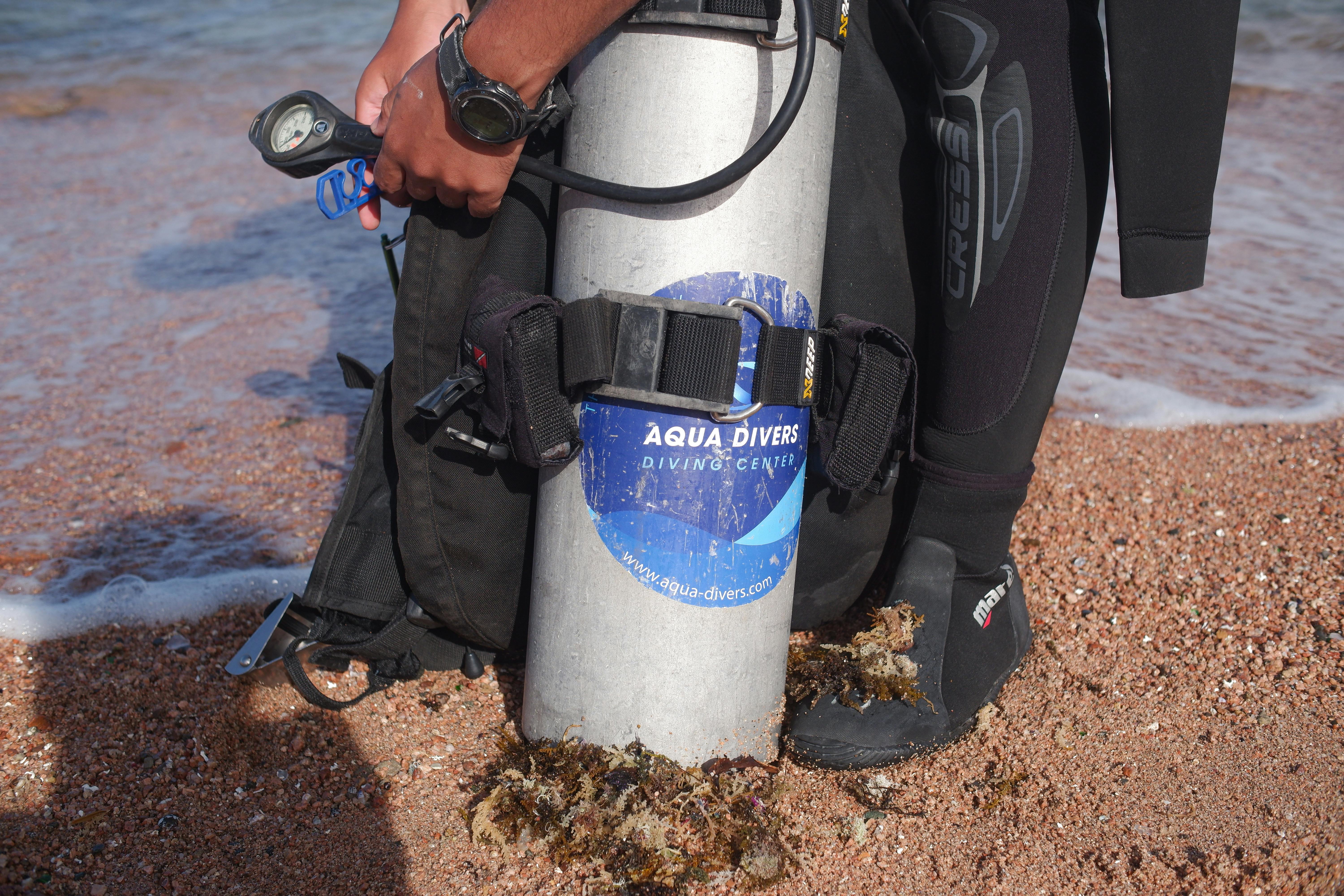 Time blocking: Cómo organizar tu jornada como Elon Musk | Activa tu ...