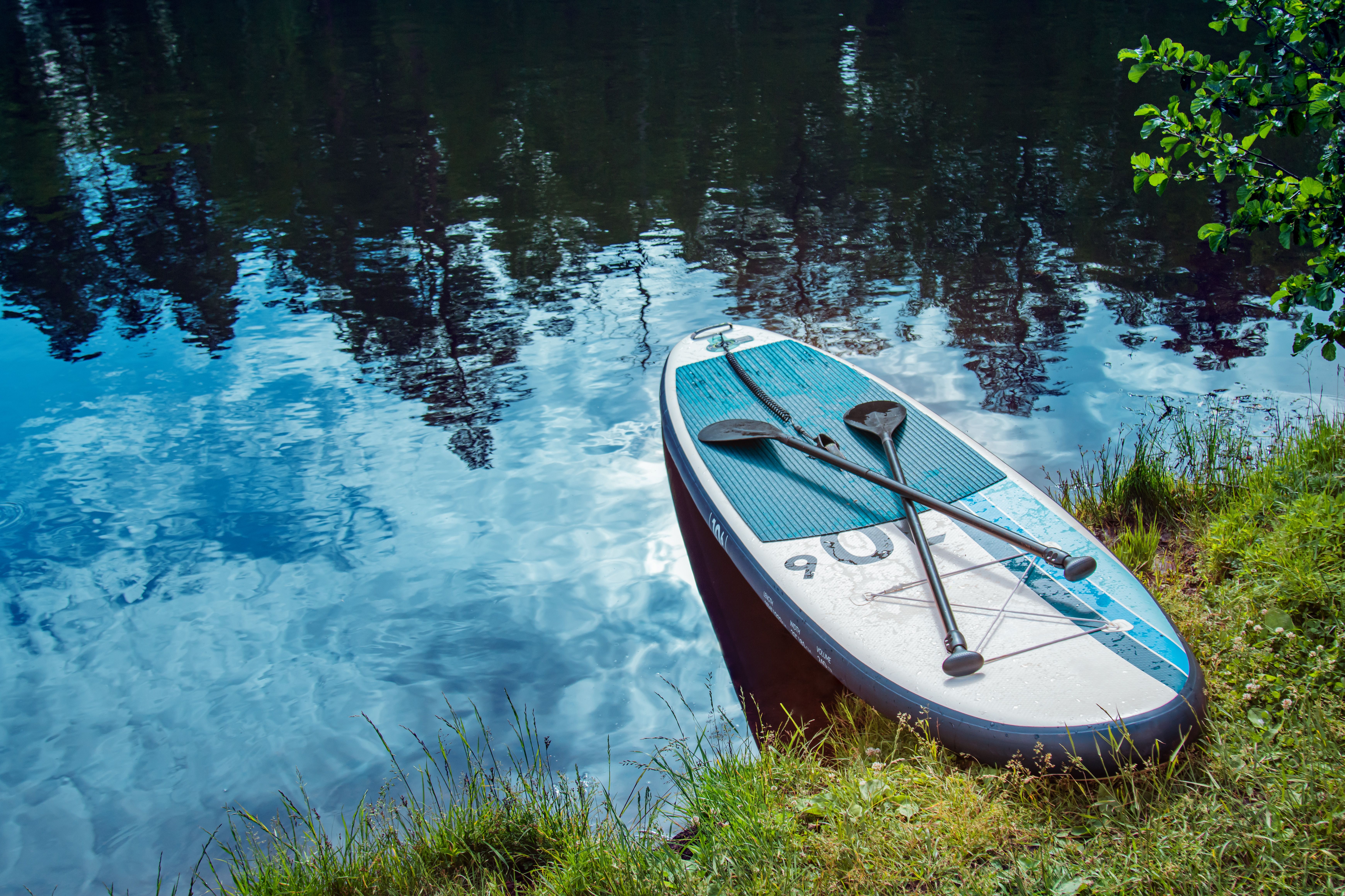 Serene Paddleboard в Tranquil Lake Edge · Бесплатные стоковые фото