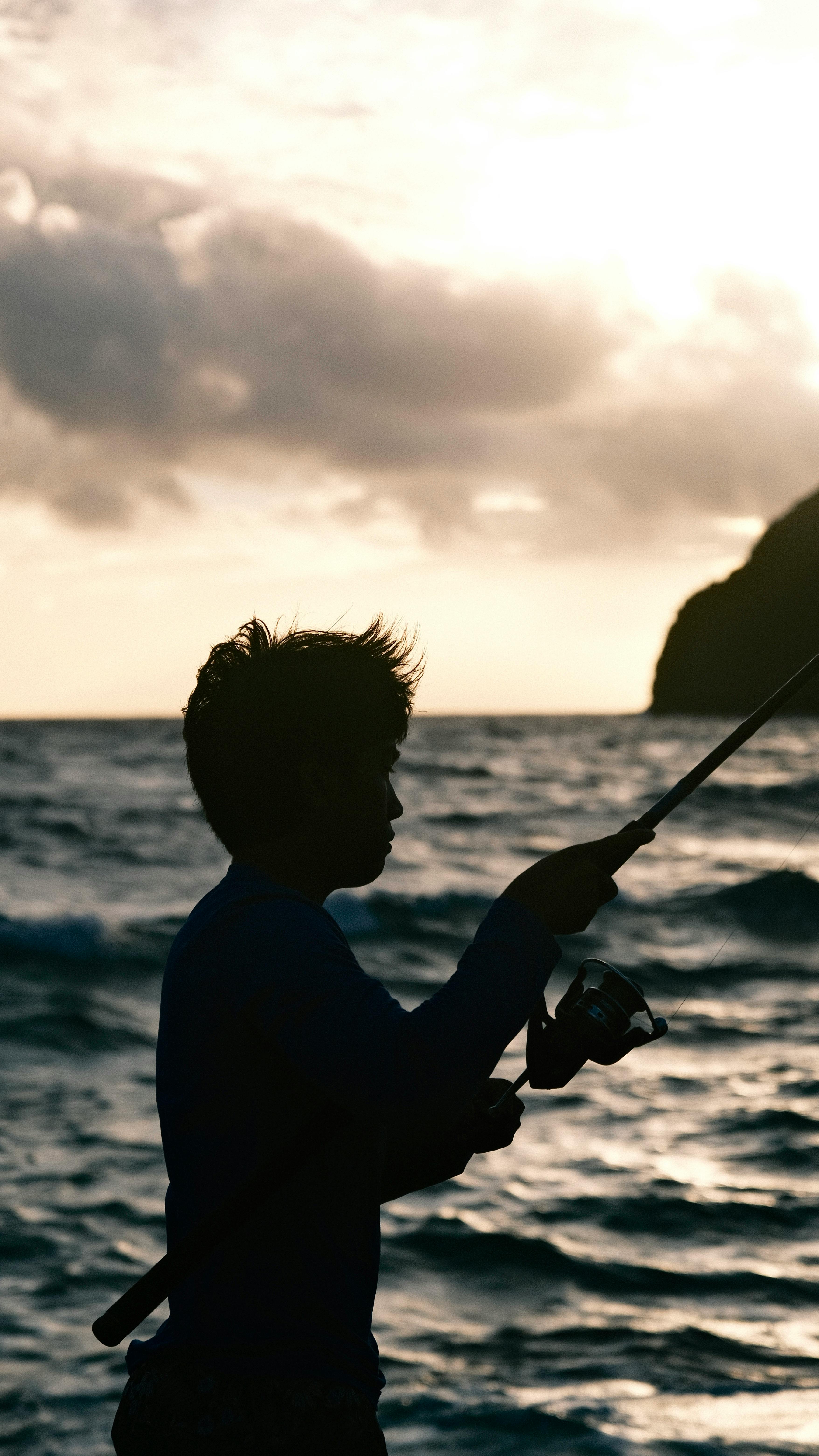 Rod Fysisk Struktur Photos, Download The BEST Free Rod Fysisk Struktur ...