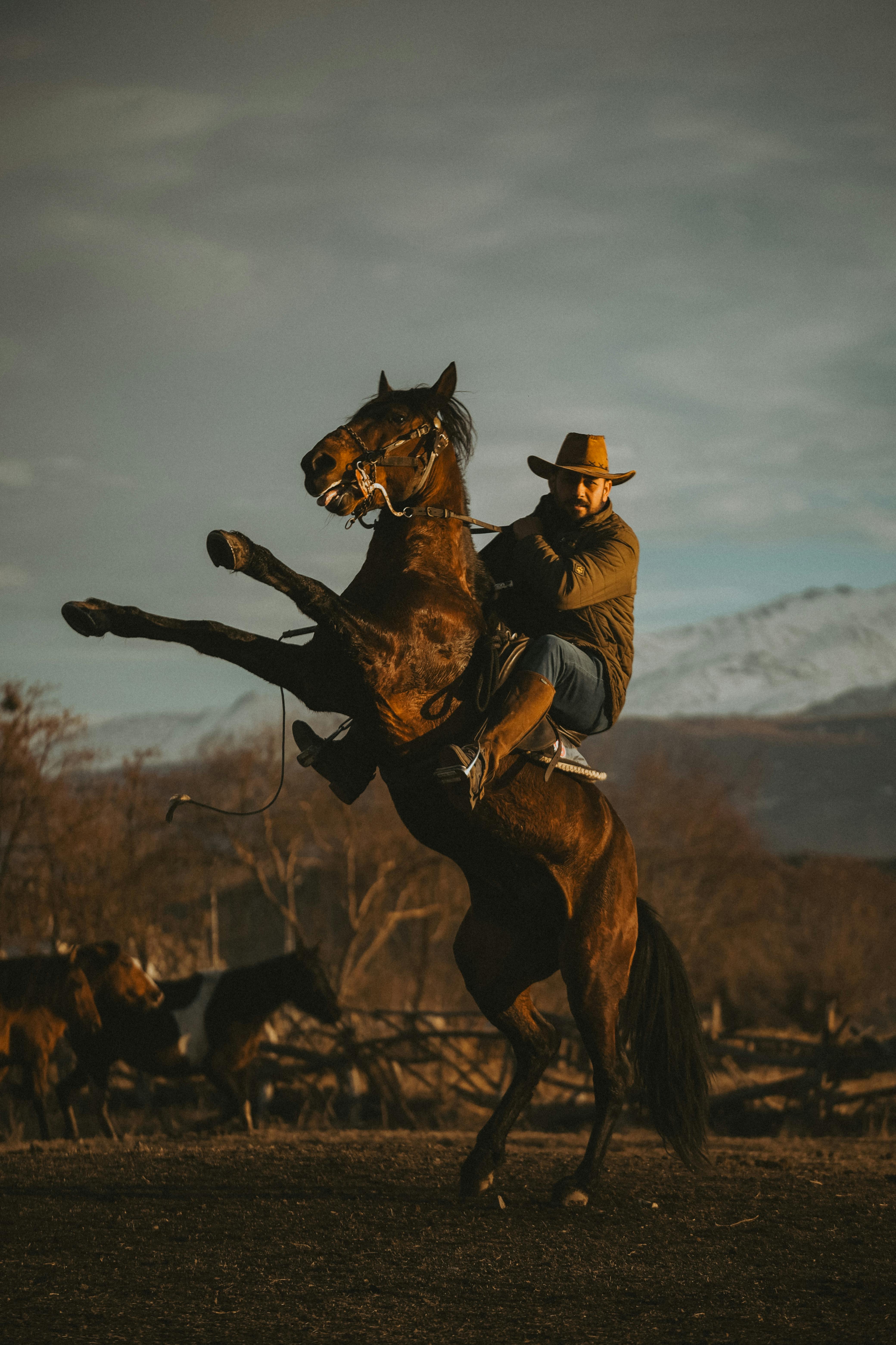 Cowboy Riding Rearing Horse in Rustic Landscape · Free Stock Photo