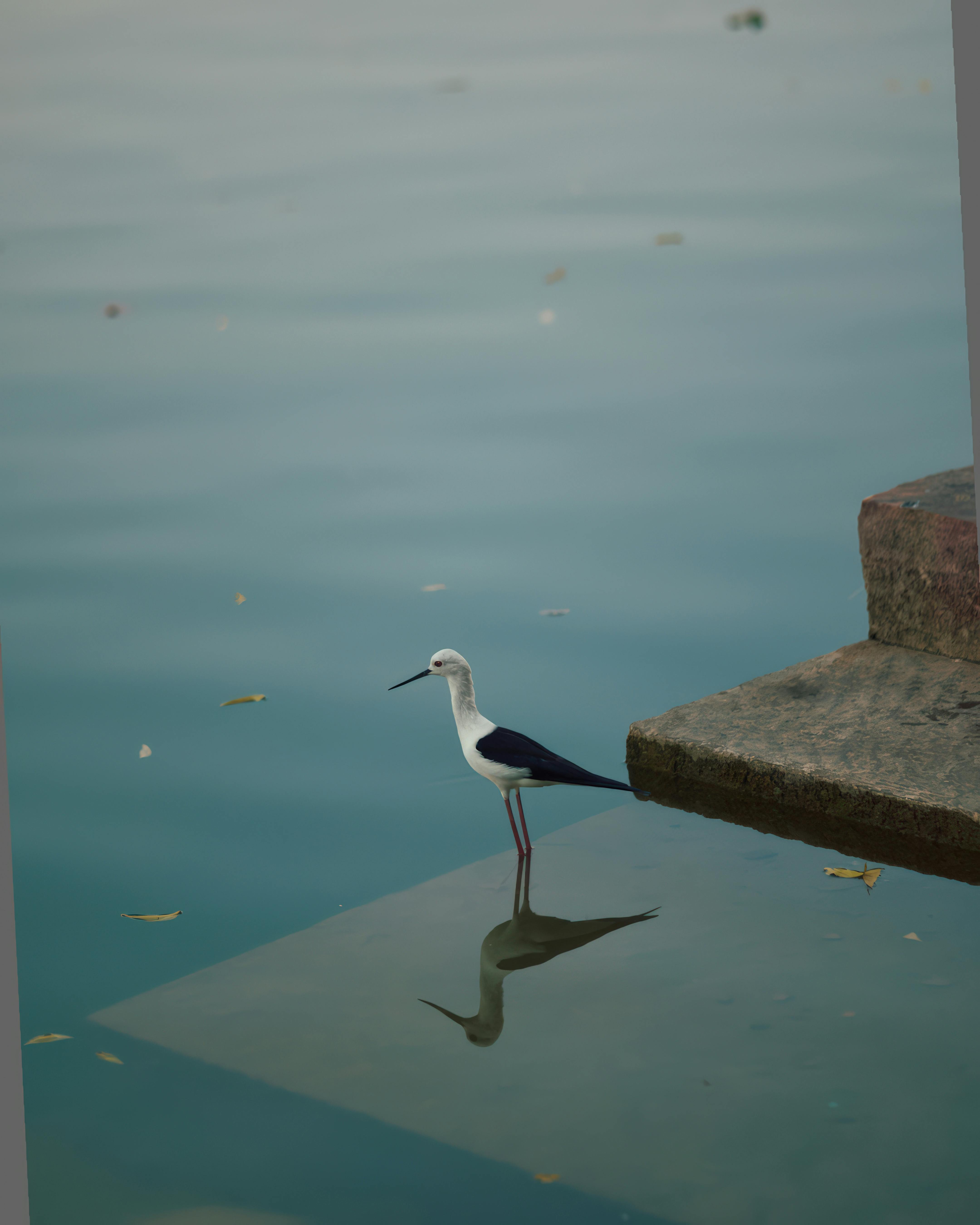 30,000+张最精彩的“Manual Pie”图片 · 100%免费下载 · Pexels素材图片