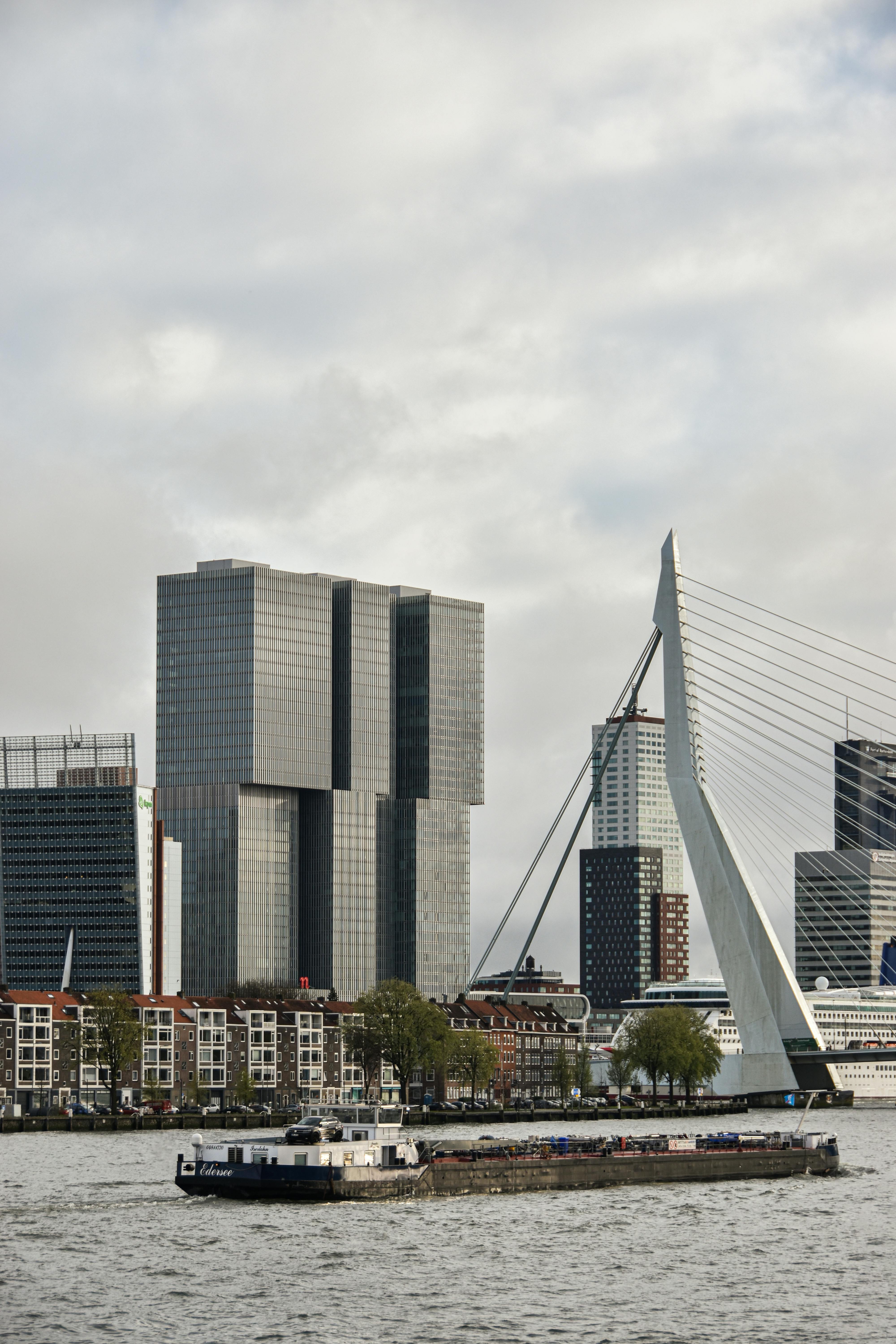 Erasmus Bridge and Modern Rotterdam Skyline View · Free Stock Photo