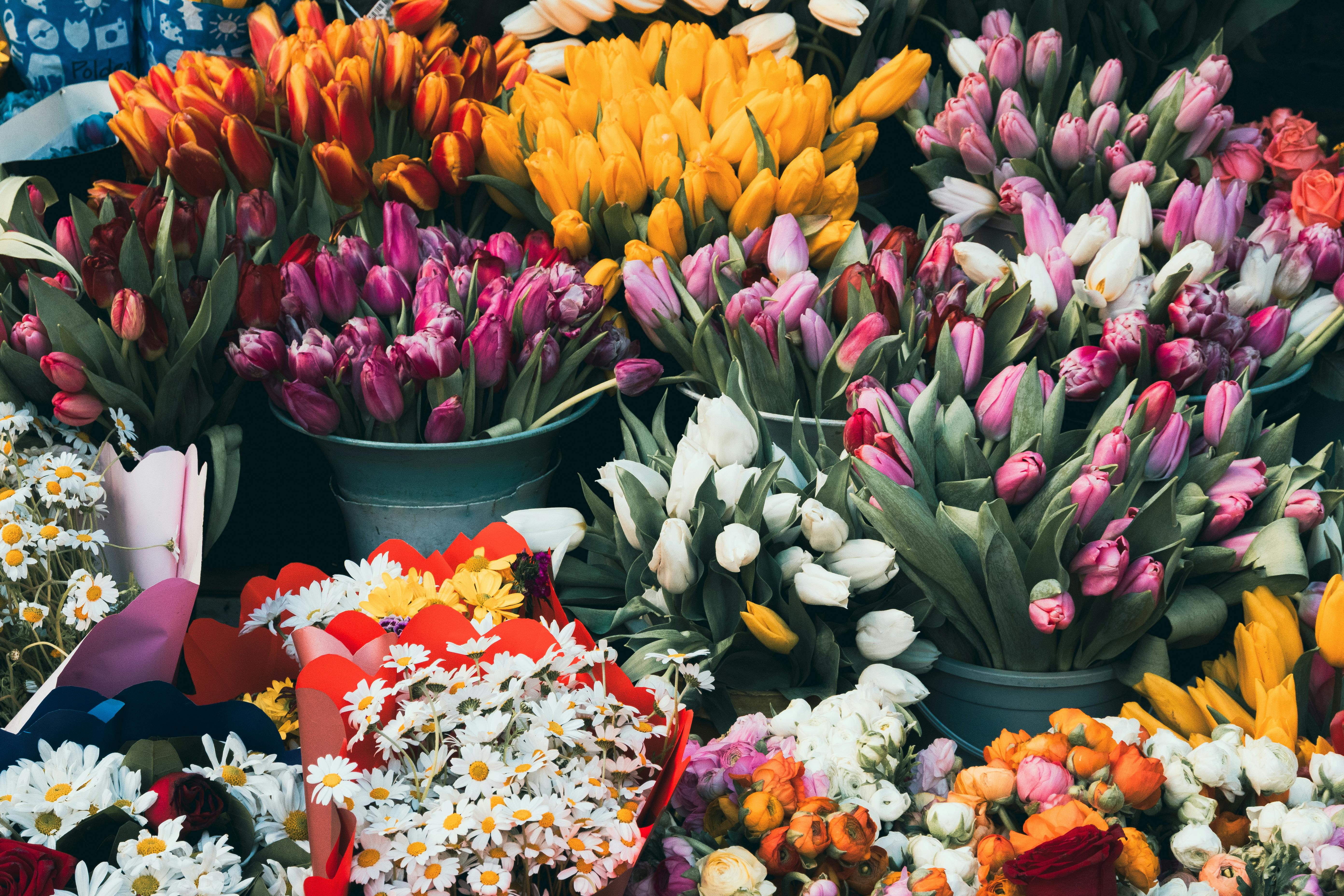 Colorful Spring Flower Bouquets in Outdoor Market · Free Stock Photo